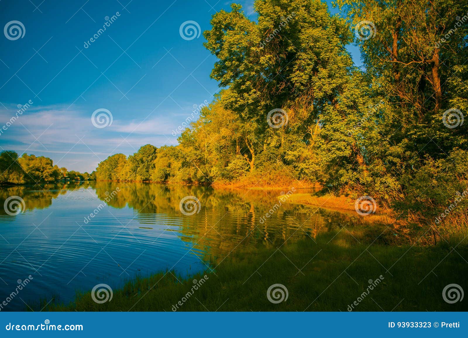 Beautiful Landscape with Views of Forest Lake Stock Image - Image of ...