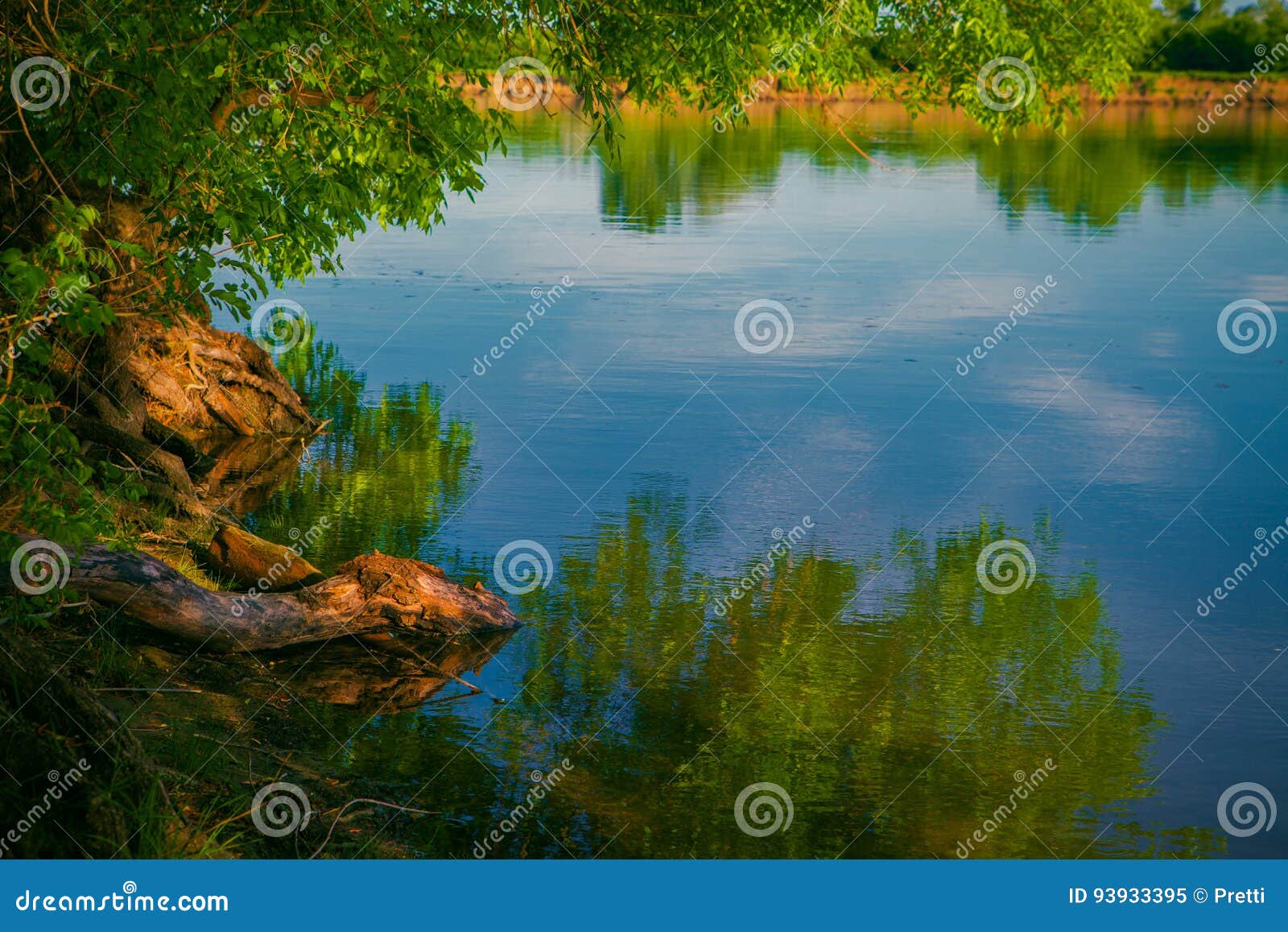 Beautiful Landscape with Views of Forest Lake Stock Image - Image of ...