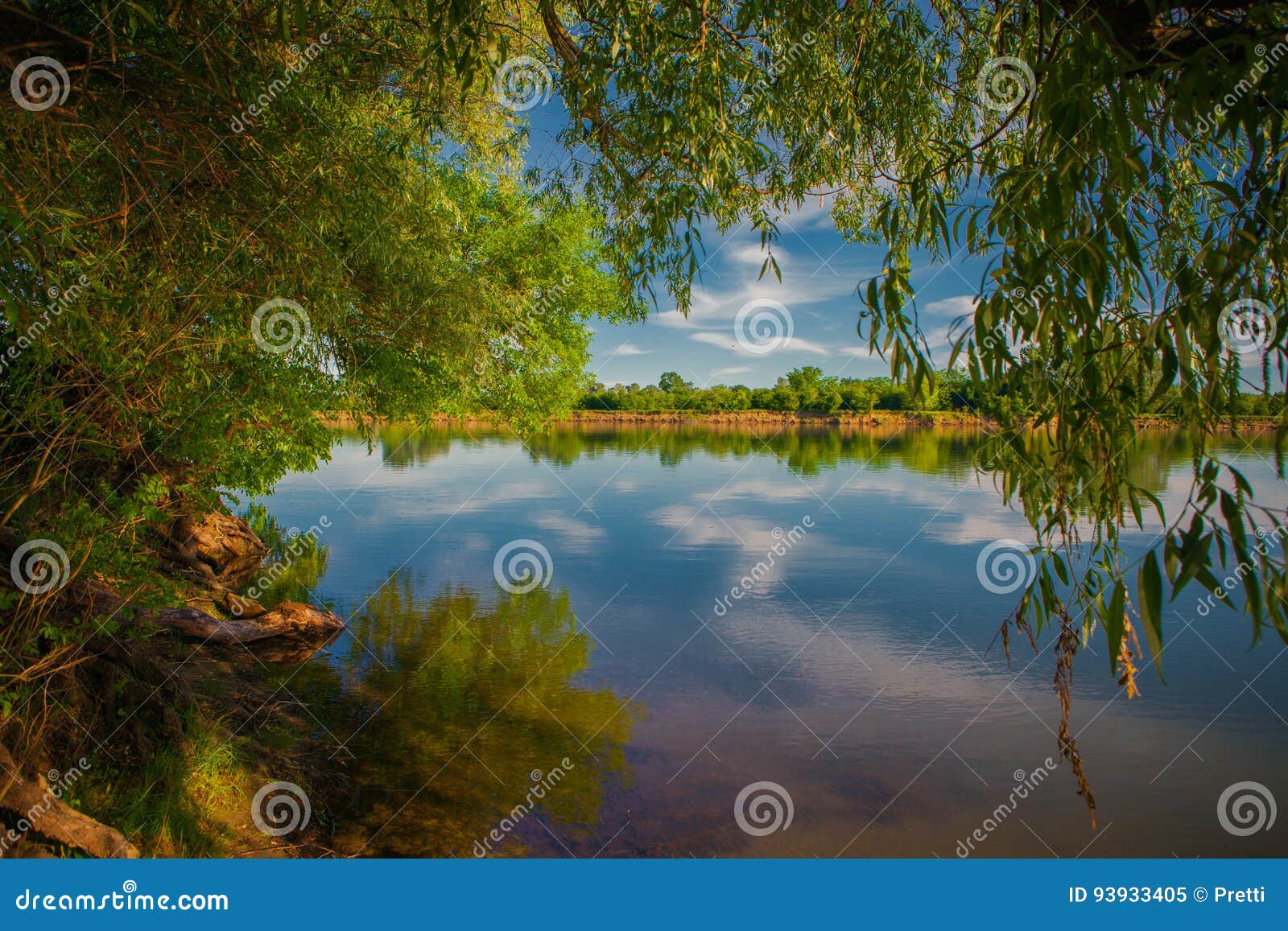 Beautiful Landscape with Views of Forest Lake Stock Image - Image of ...