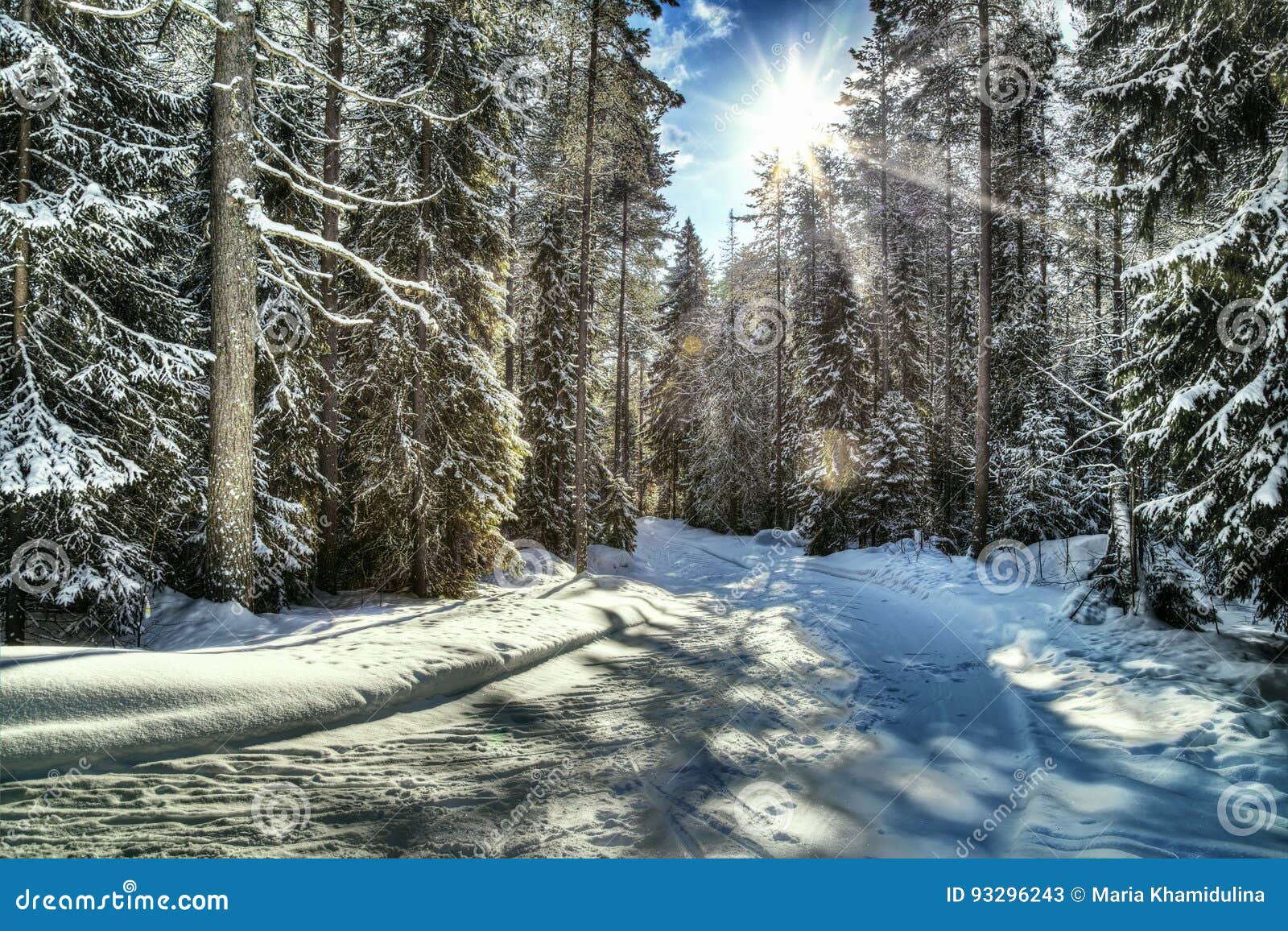Beautiful Landscape. Winter Forest, Path, Sunlight Stock Image - Image ...