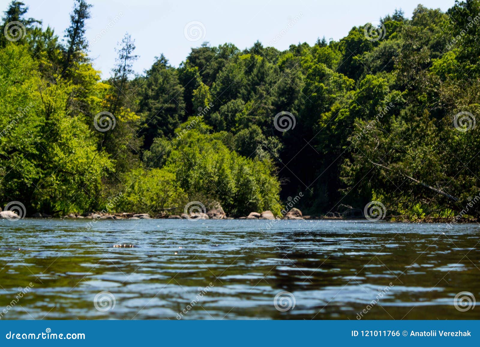 Wolf River Wisconsin stock photo. Image of spring, beautiful - 121011766