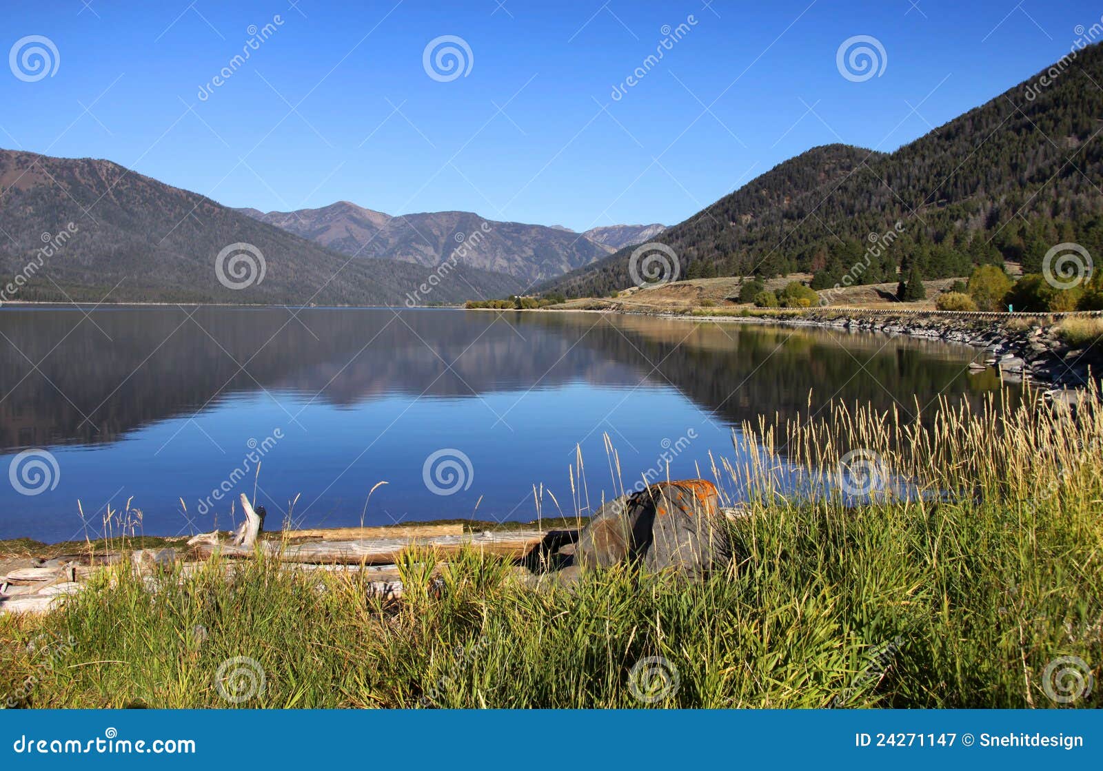 Beautiful Landscape in Wyoming Stock Image - Image of travel, ecology ...
