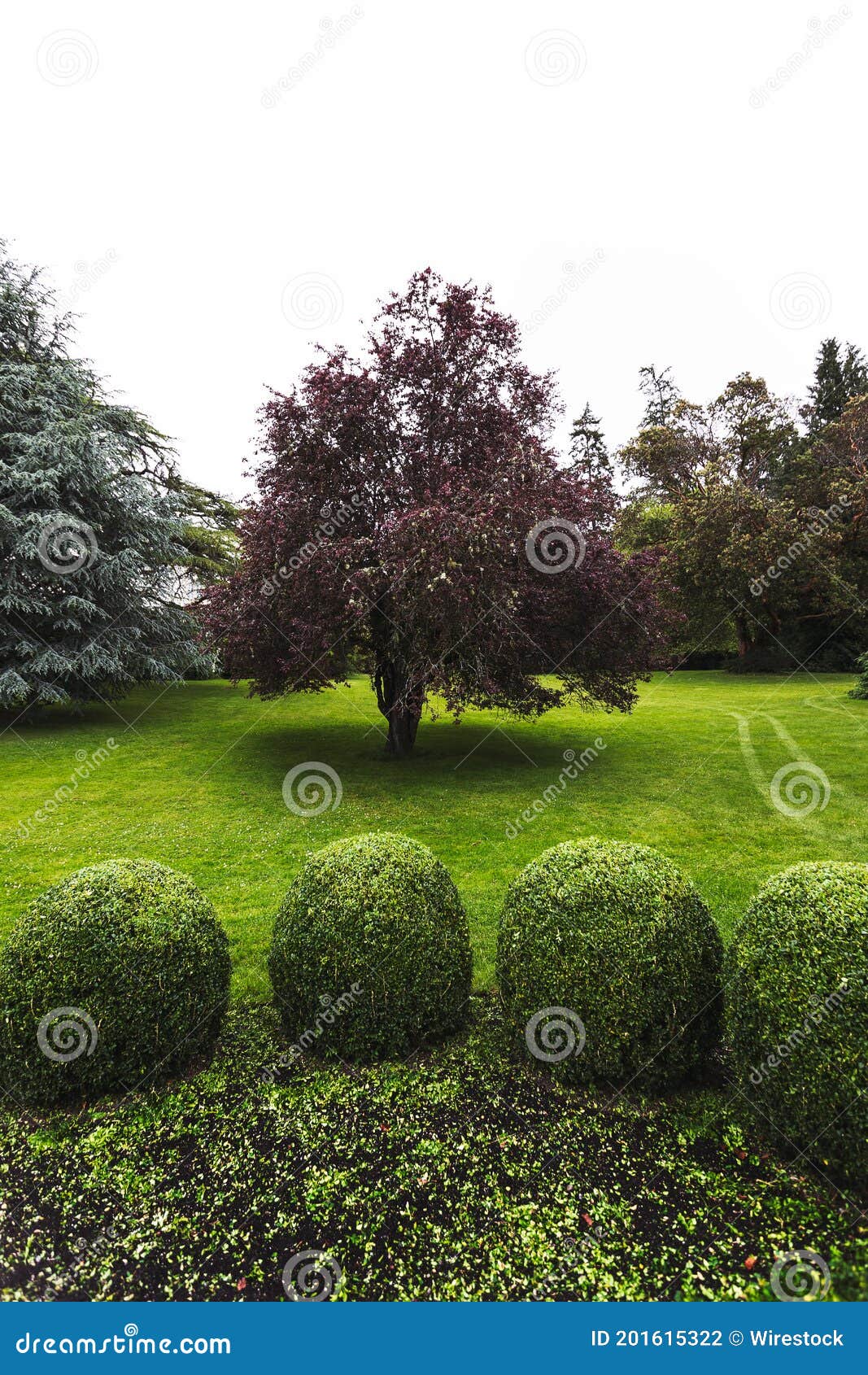 Beautiful Landscaped Garden with Spectacular Trees Stock Photo - Image ...