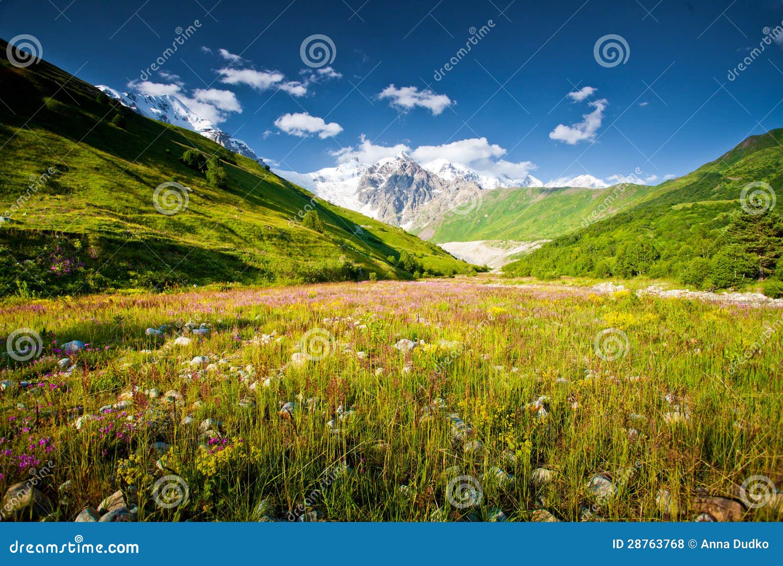 The Beautiful Landscapes Royalty-Free Stock Photography | CartoonDealer ...