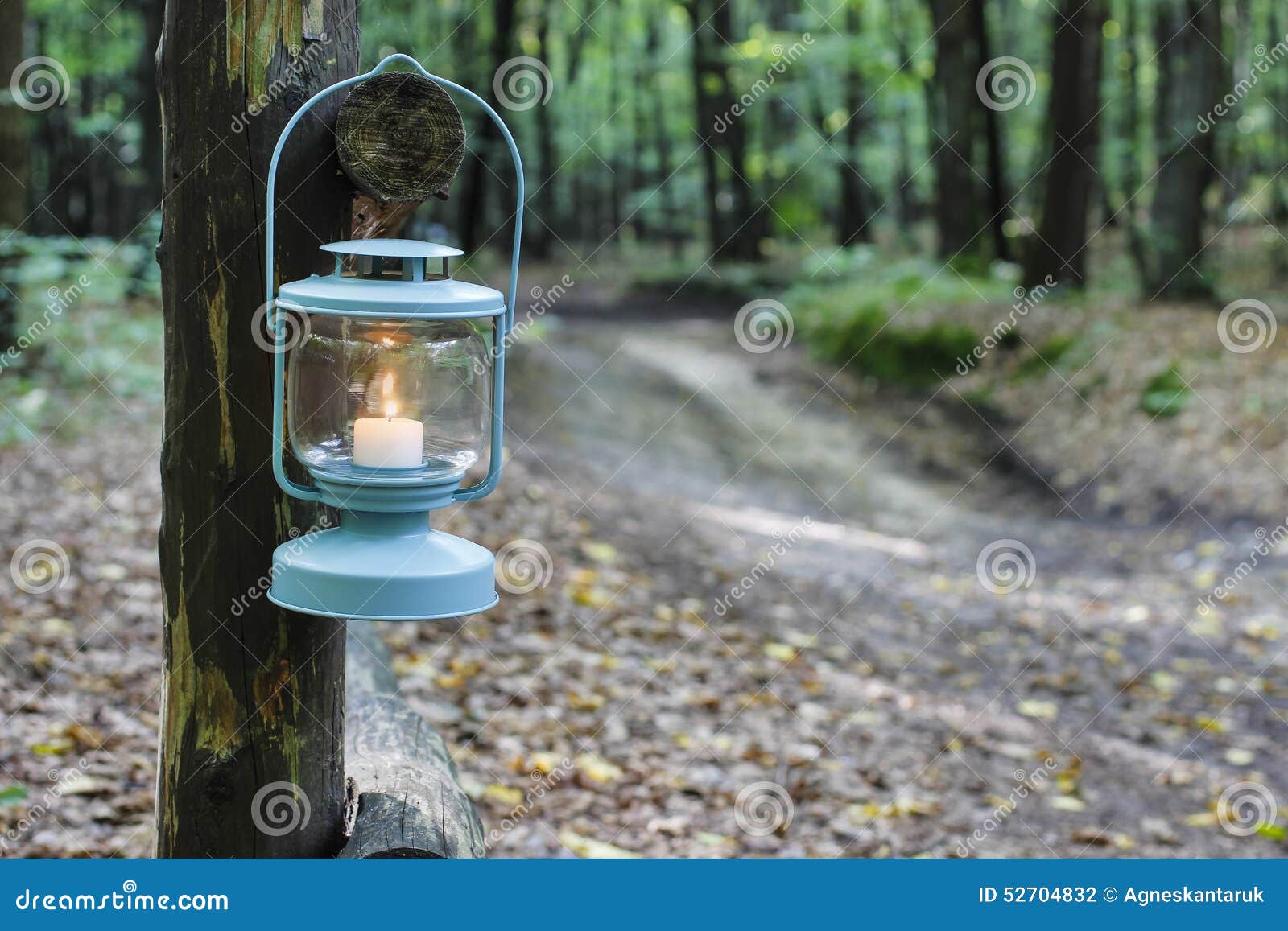 Beautiful Lantern in Autumn Forest. Stock Photo - Image of garden, iron ...