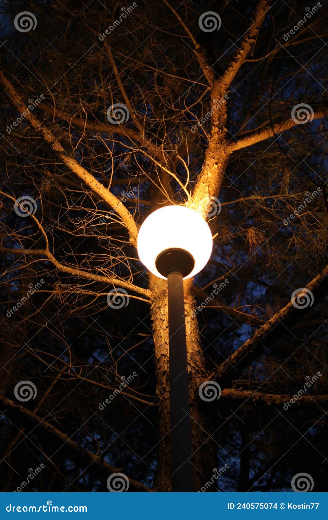 A Beautiful Lantern Burns with a Bright Light in the Park Stock Photo ...