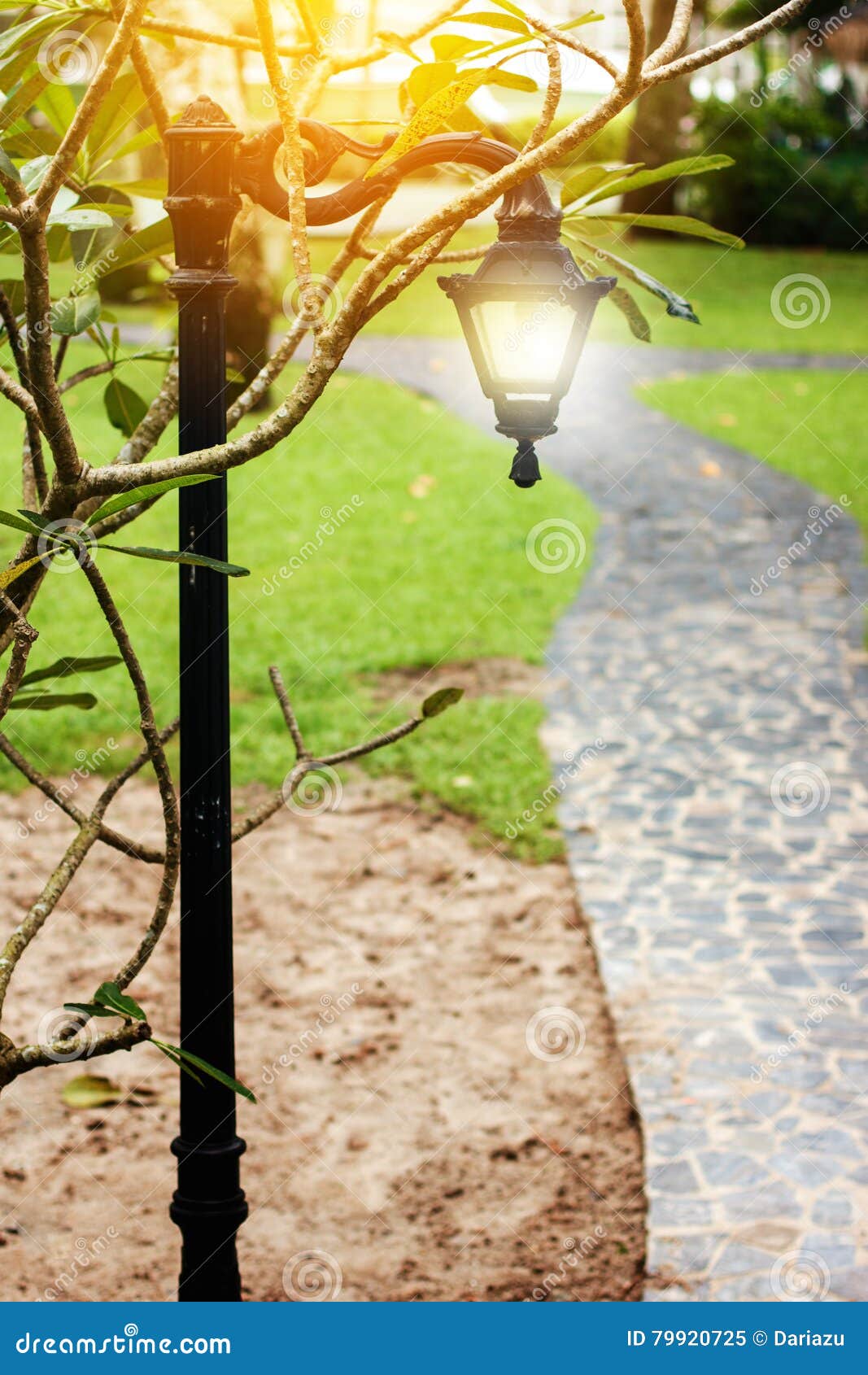 Beautiful Lantern on the Road Stock Image - Image of foliage, imagine ...