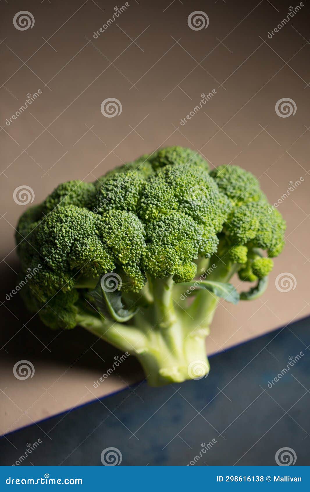 A Beautiful Large Head of Broccoli Stock Photo - Image of color, modern ...