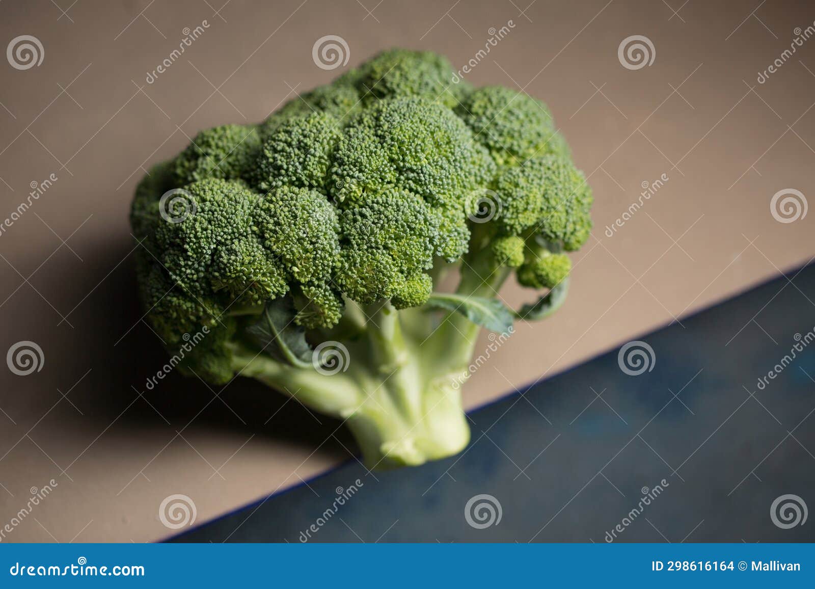 A Beautiful Large Head of Broccoli Stock Photo - Image of ingredient ...