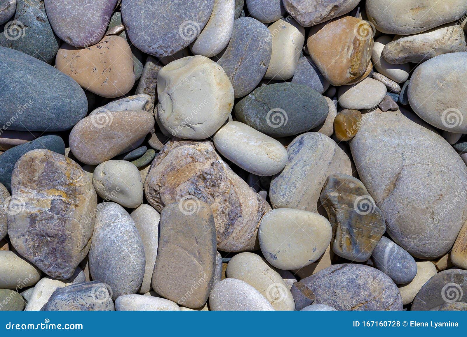 Beautiful Large Multi-colored Pebbles.background of Stones Stock Photo ...