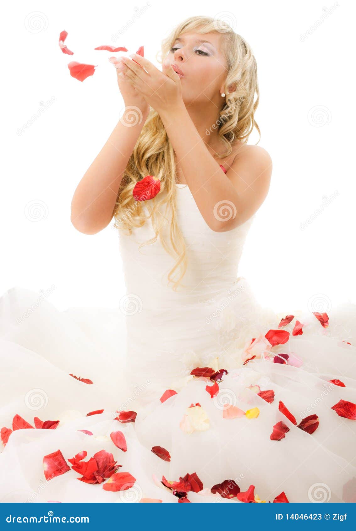 Beautiful laughing bride stock image. Image of beauty - 14046423