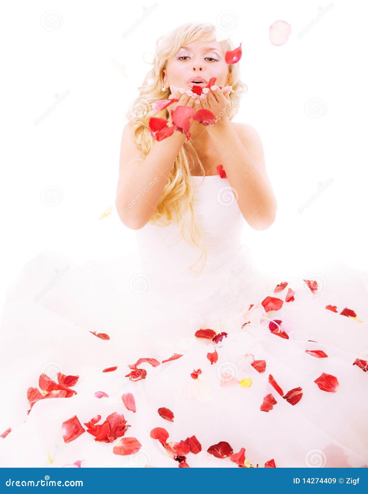 Beautiful laughing bride stock image. Image of isolated - 14274409