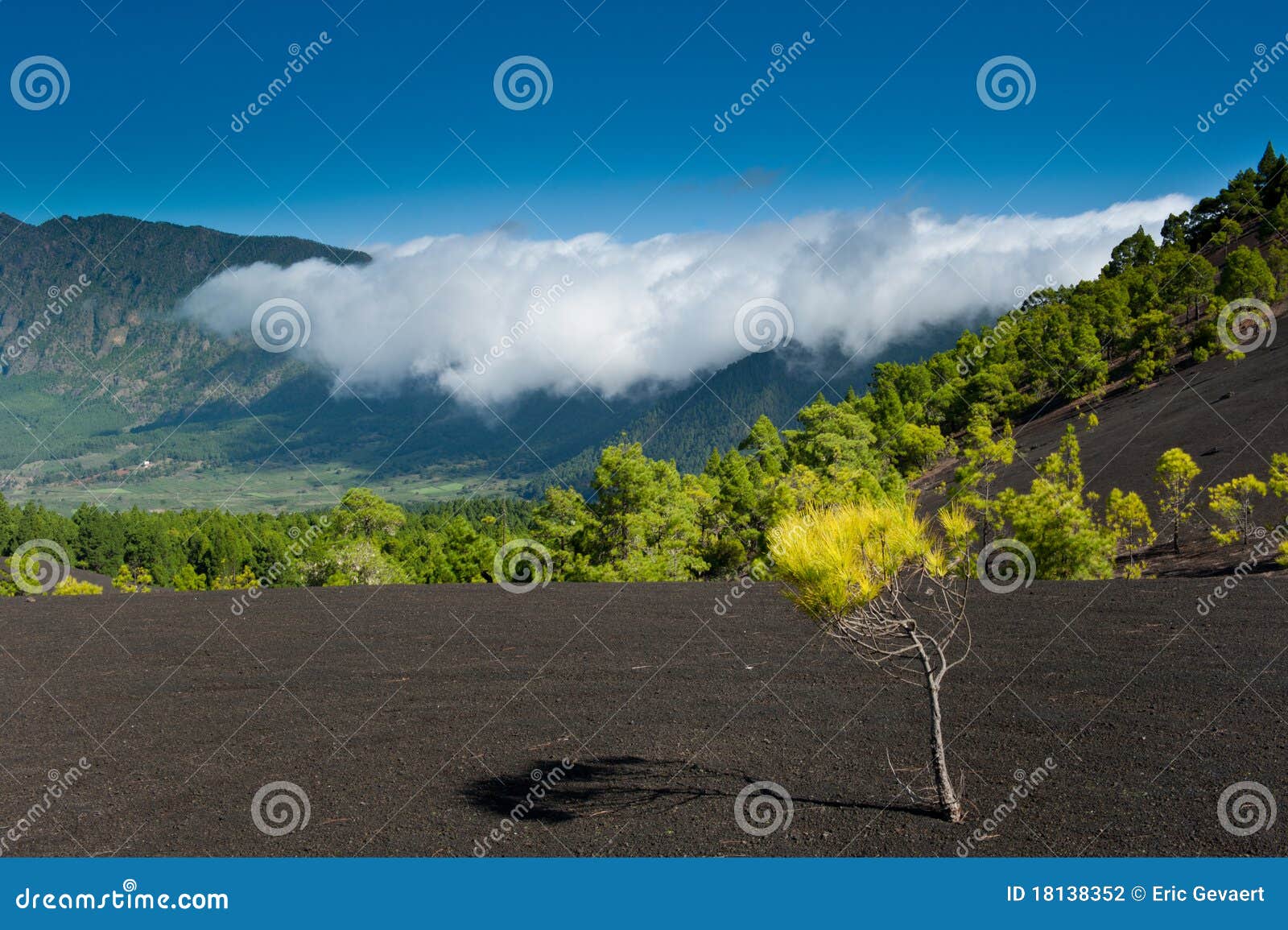 Beautiful Lava Landscape in La Palma Stock Photo - Image of black ...