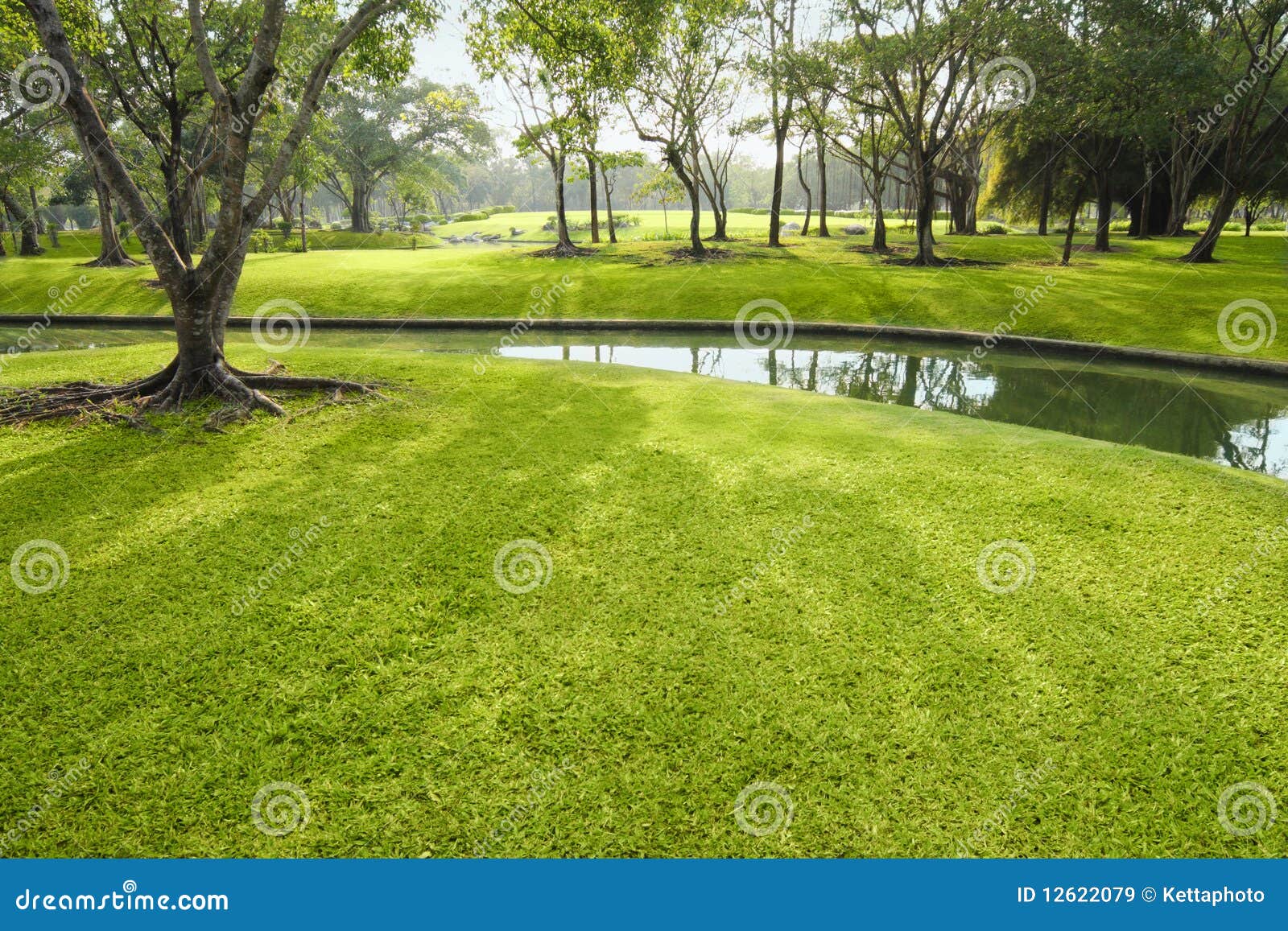 Beautiful lawn stock image. Image of park, buddhamonthon - 12622079