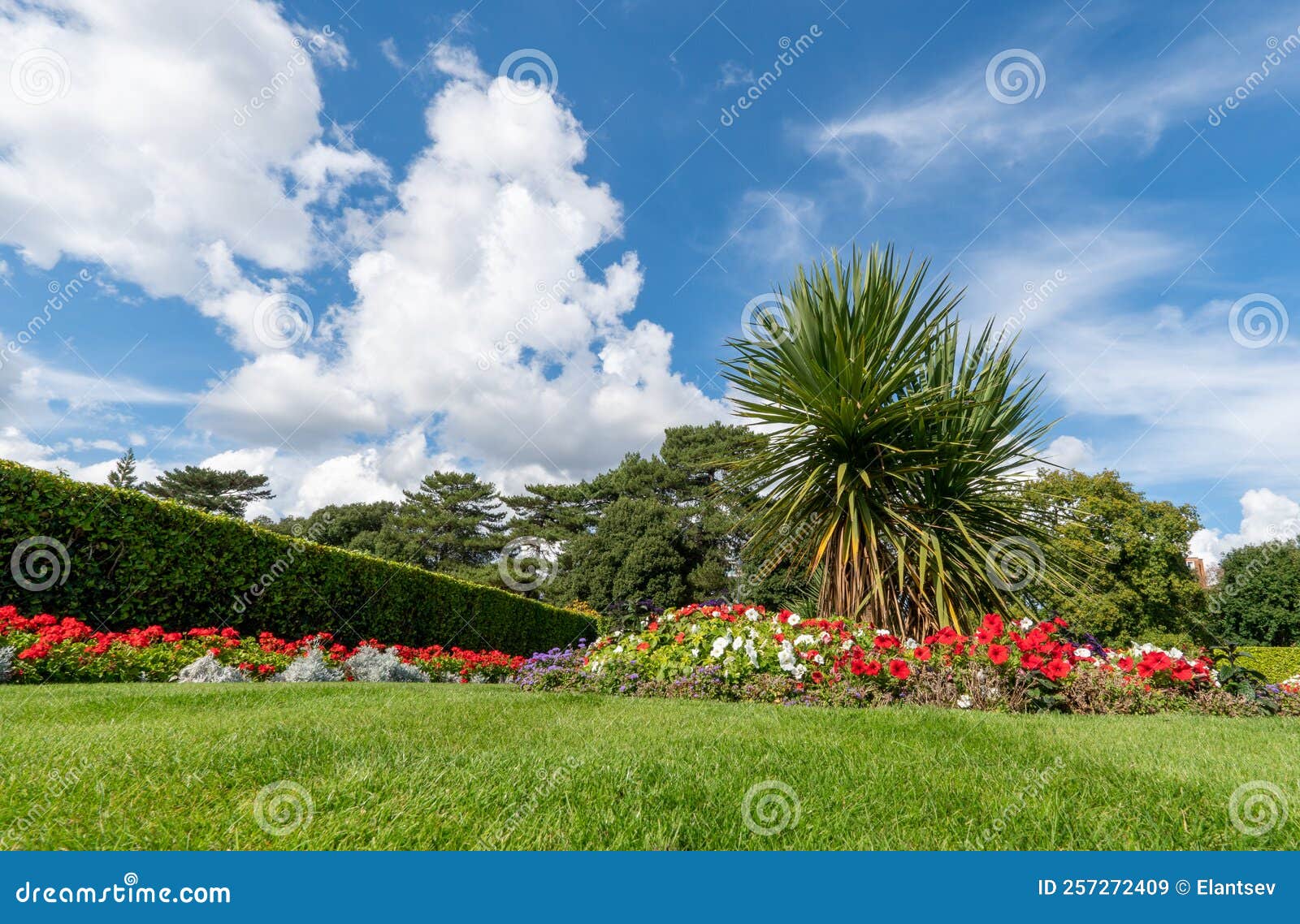 Beautiful Lawn with Flowers and Palm Tree on a Cloudy Day Stock Image ...