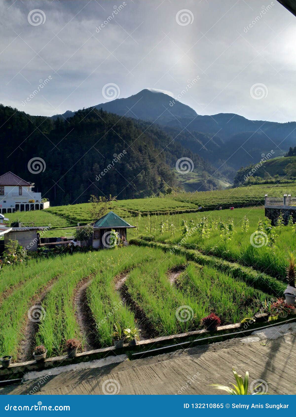 Beautiful of lawu mountain stock image. Image of central - 132210865