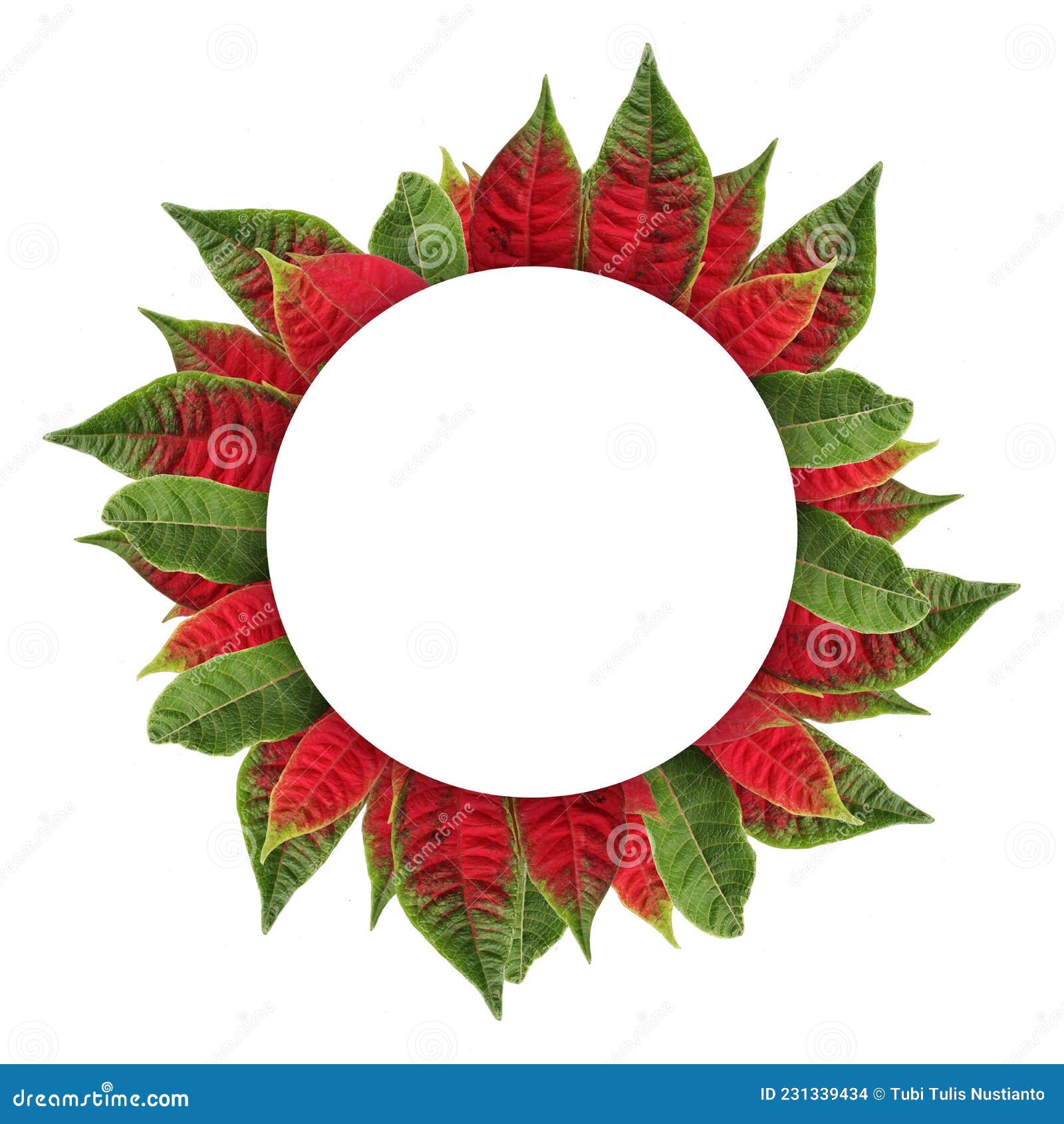 Beautiful Leaf Frame Ornament, Decorative Nature Template with Isolated ...