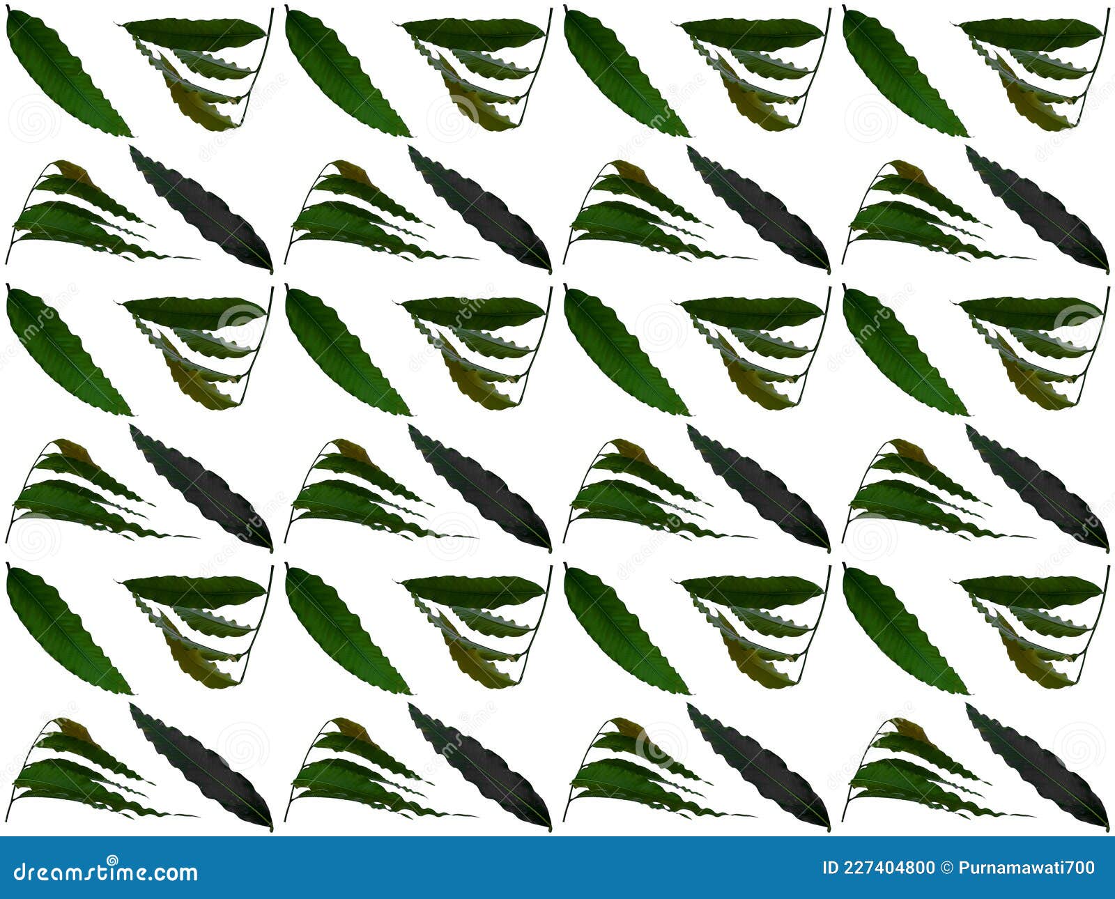 Leaf Pattern with a White Background. Leaves Pattern. Stock Photo ...