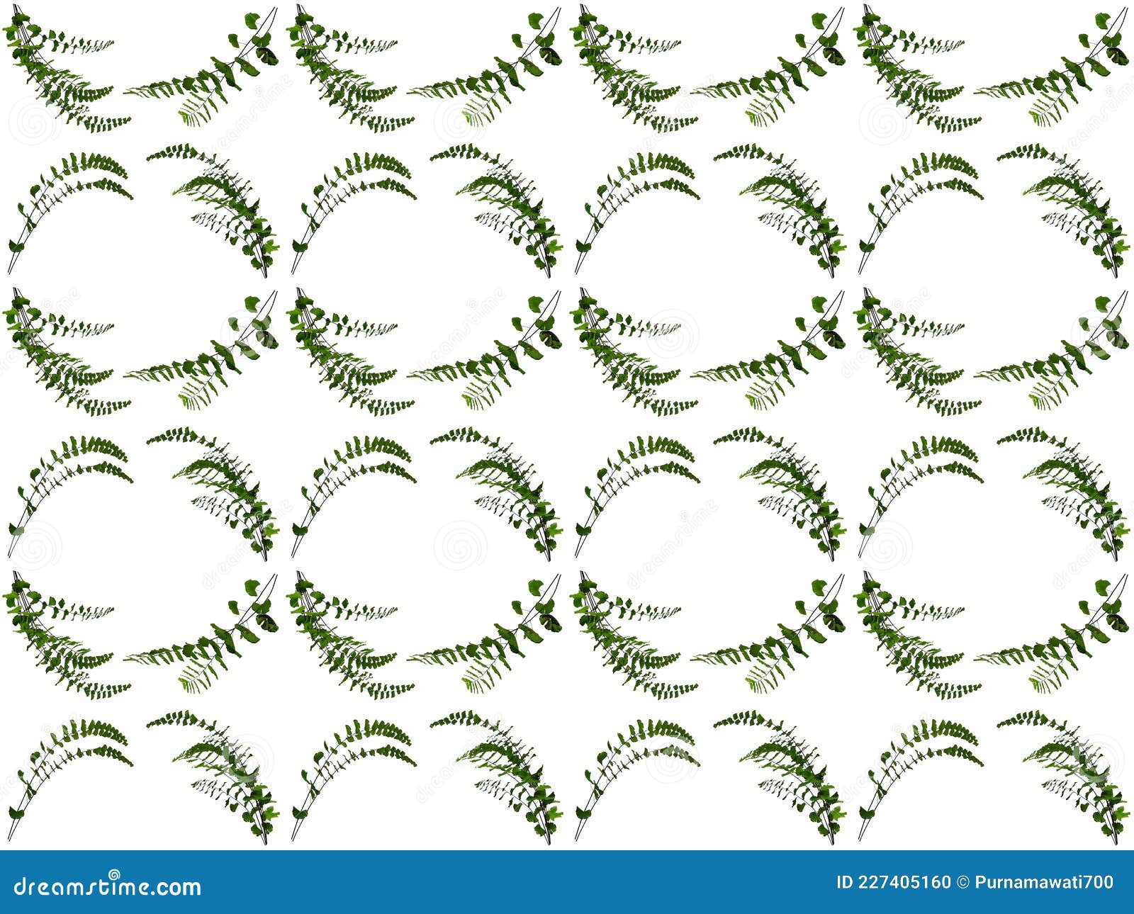 Leaf Pattern with a White Background. Leaves Pattern. Stock Photo ...