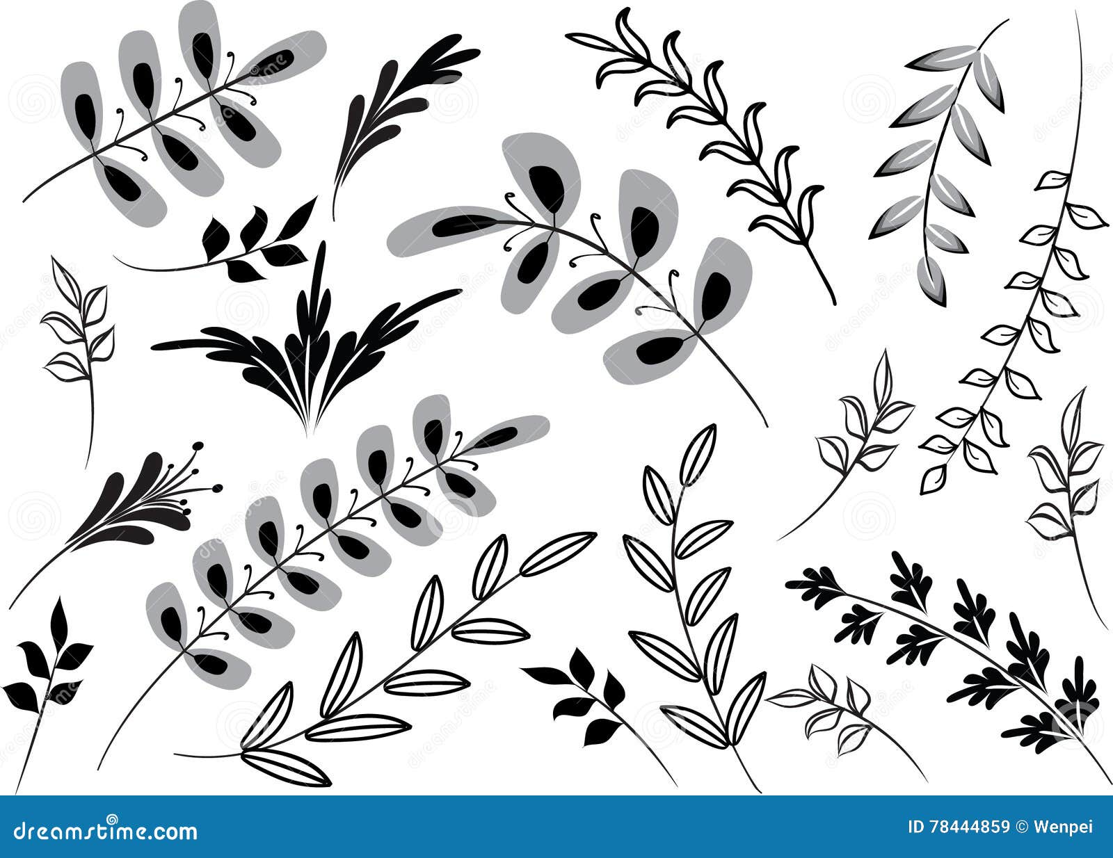 Beautiful leaf set stock vector. Illustration of painting - 78444859