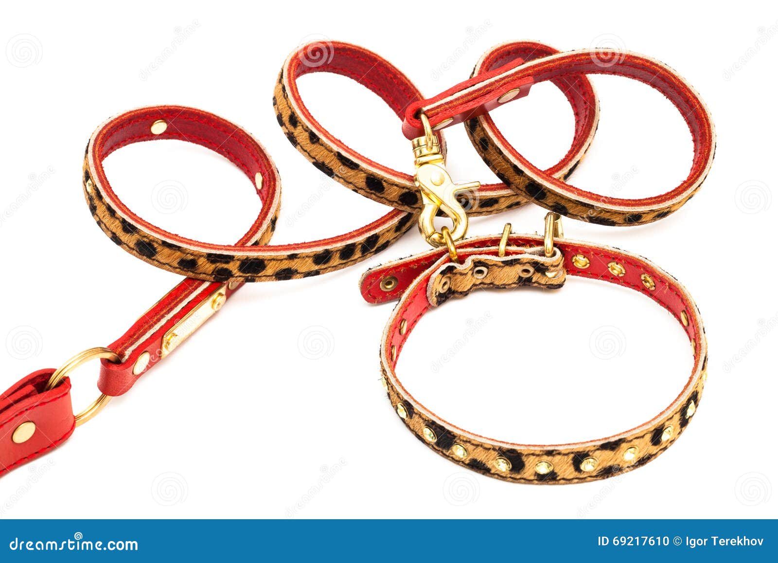 Beautiful leash and collar stock photo. Image of isolated - 69217610