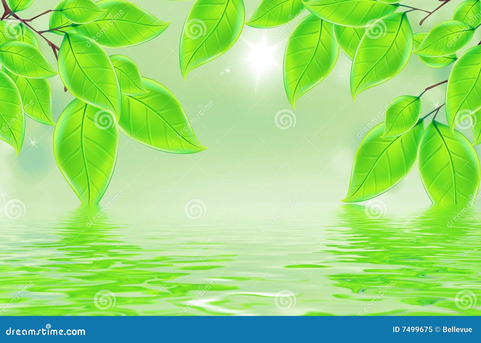 Beautiful leaves stock illustration. Illustration of beautiful - 7499675