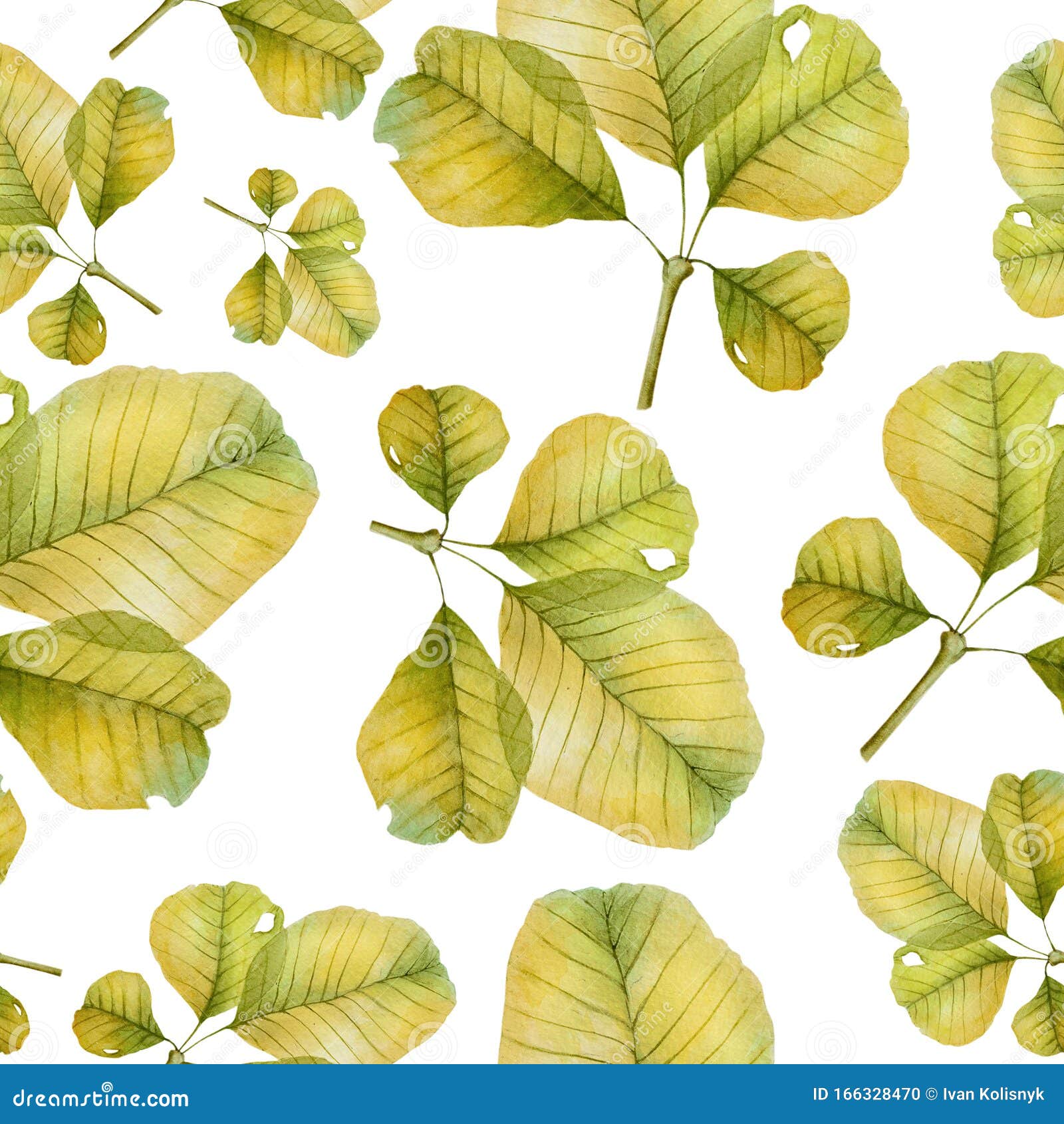 Beautiful Leaves of Hazel in Autumn Pattern 库存照片 - 图片 包括有 叶子, 装饰: 166328470