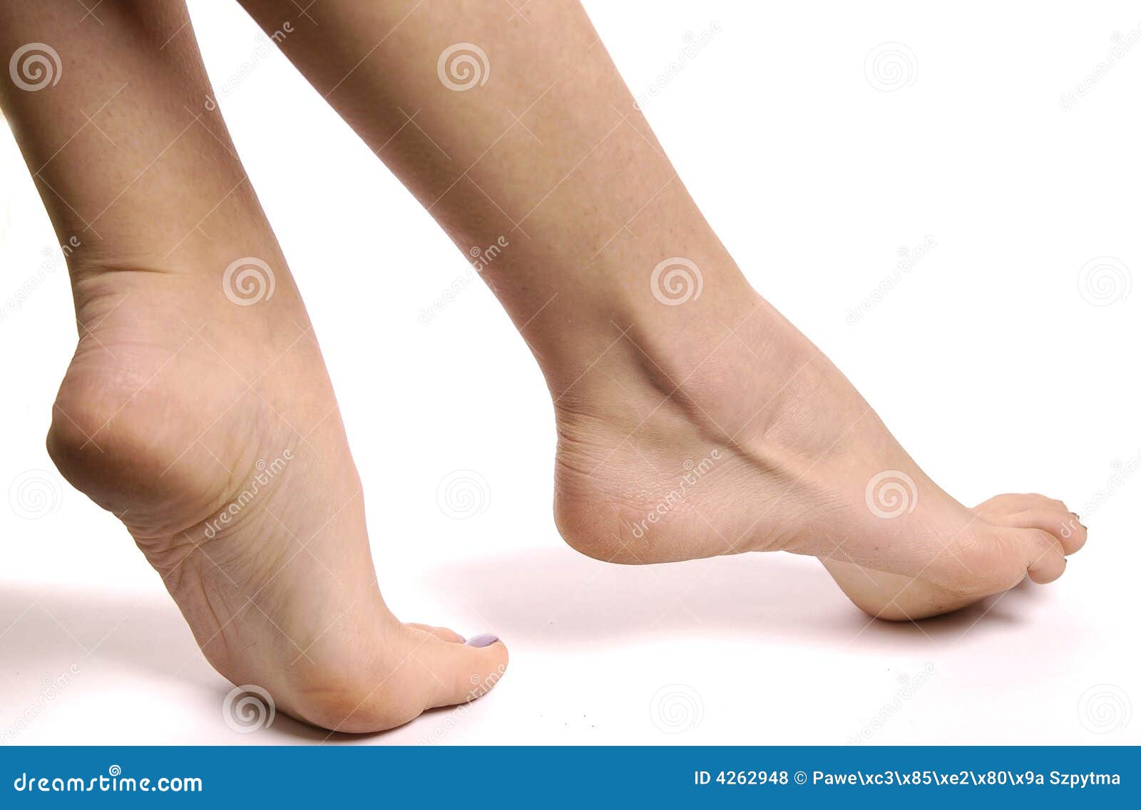 Beautiful legs stock photo. Image of beautiful, long, isolated - 4262948