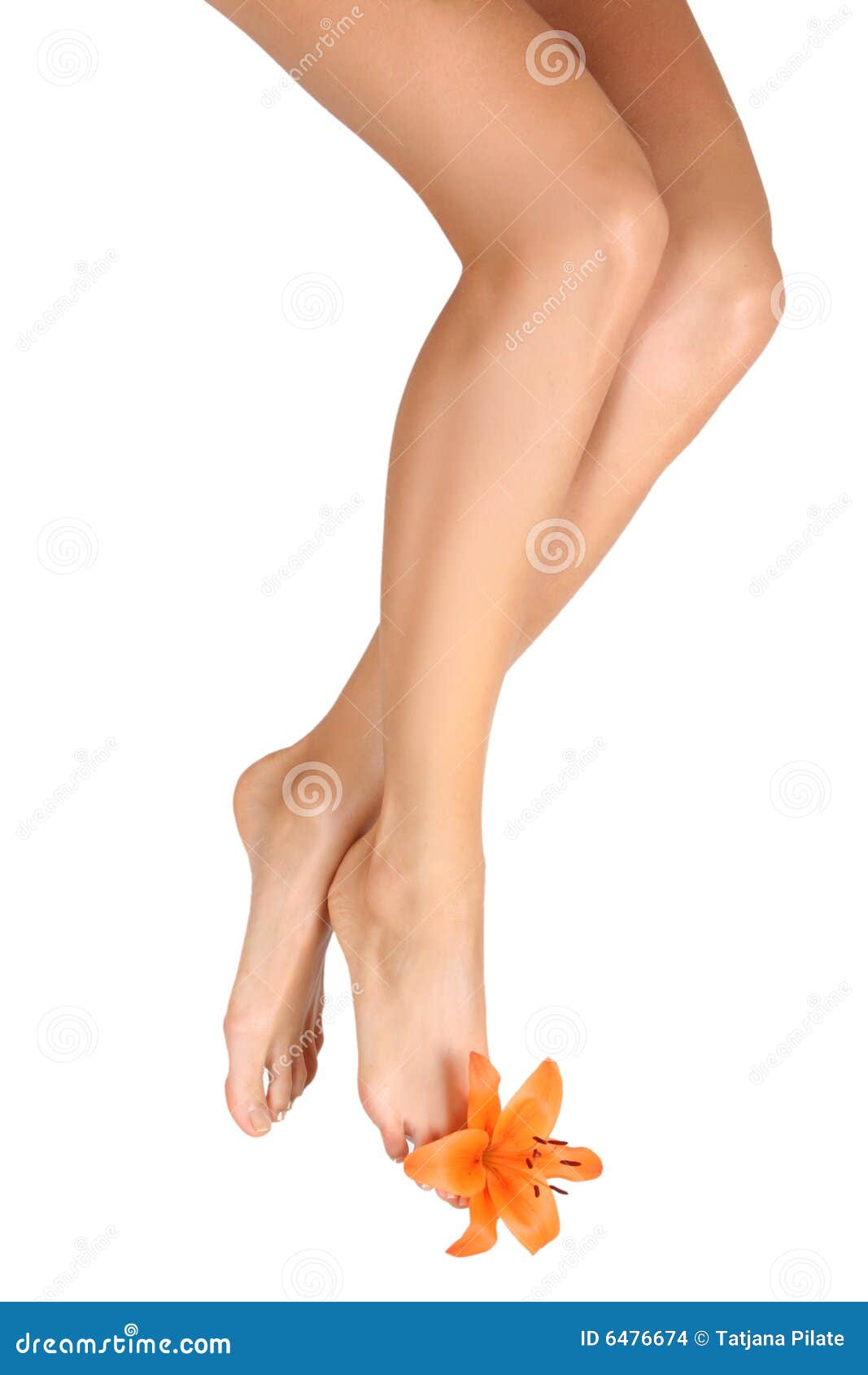 Beautiful legs stock photo. Image of blossom, beautiful - 6476674