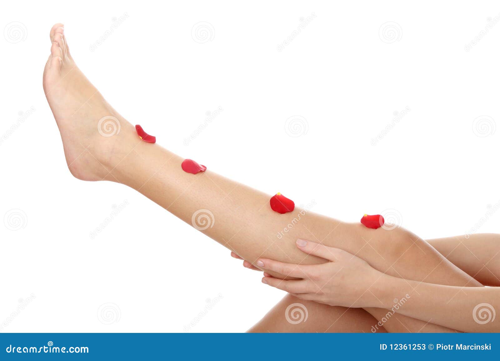 Beautiful legs with rose stock image. Image of pedicure - 12361253