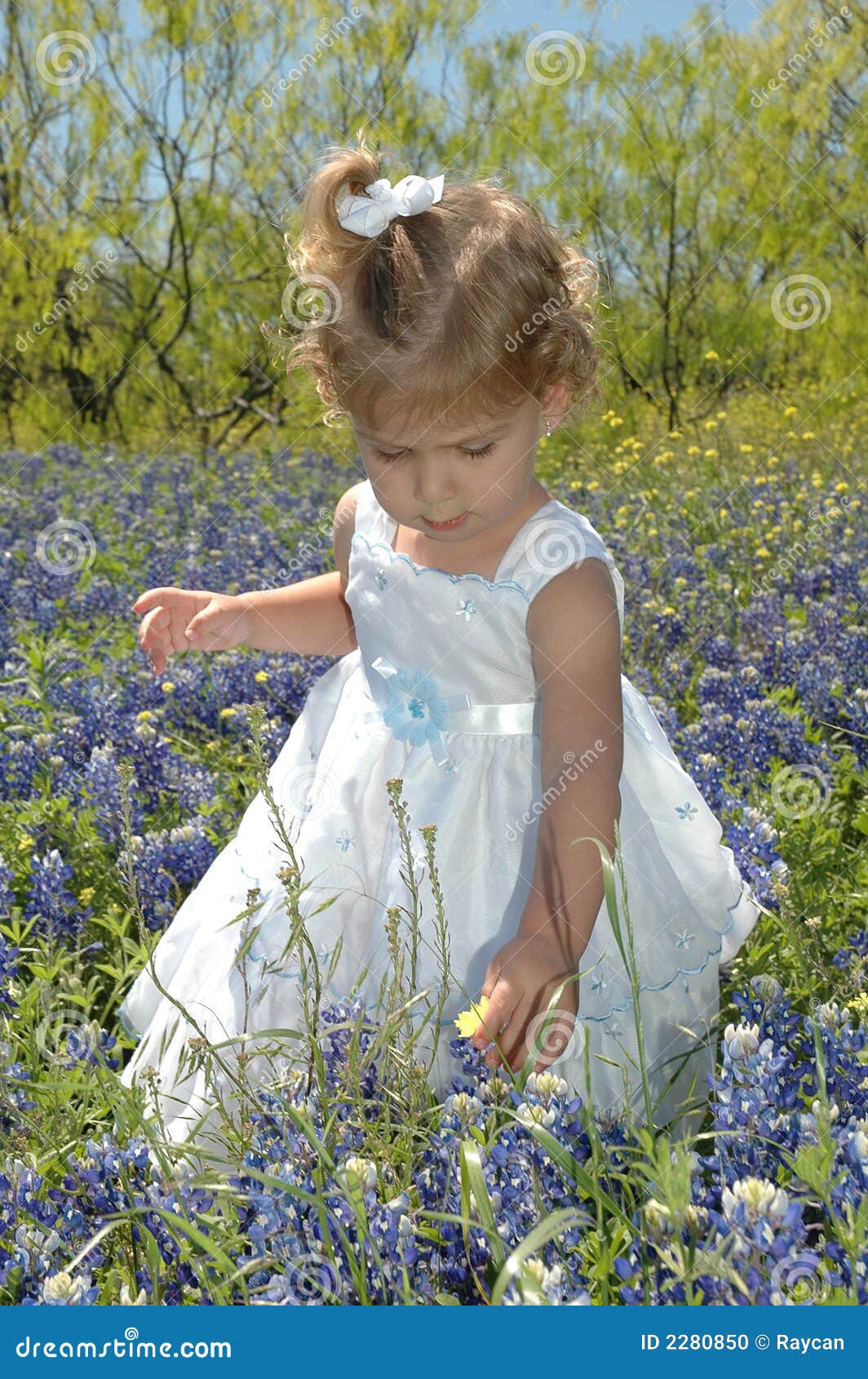 Beautiful Life stock photo. Image of lush, hold, america - 2280850