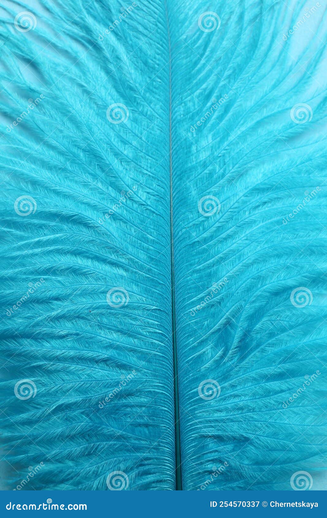 Beautiful Light Blue Feather As Background, Closeup Stock Image - Image ...