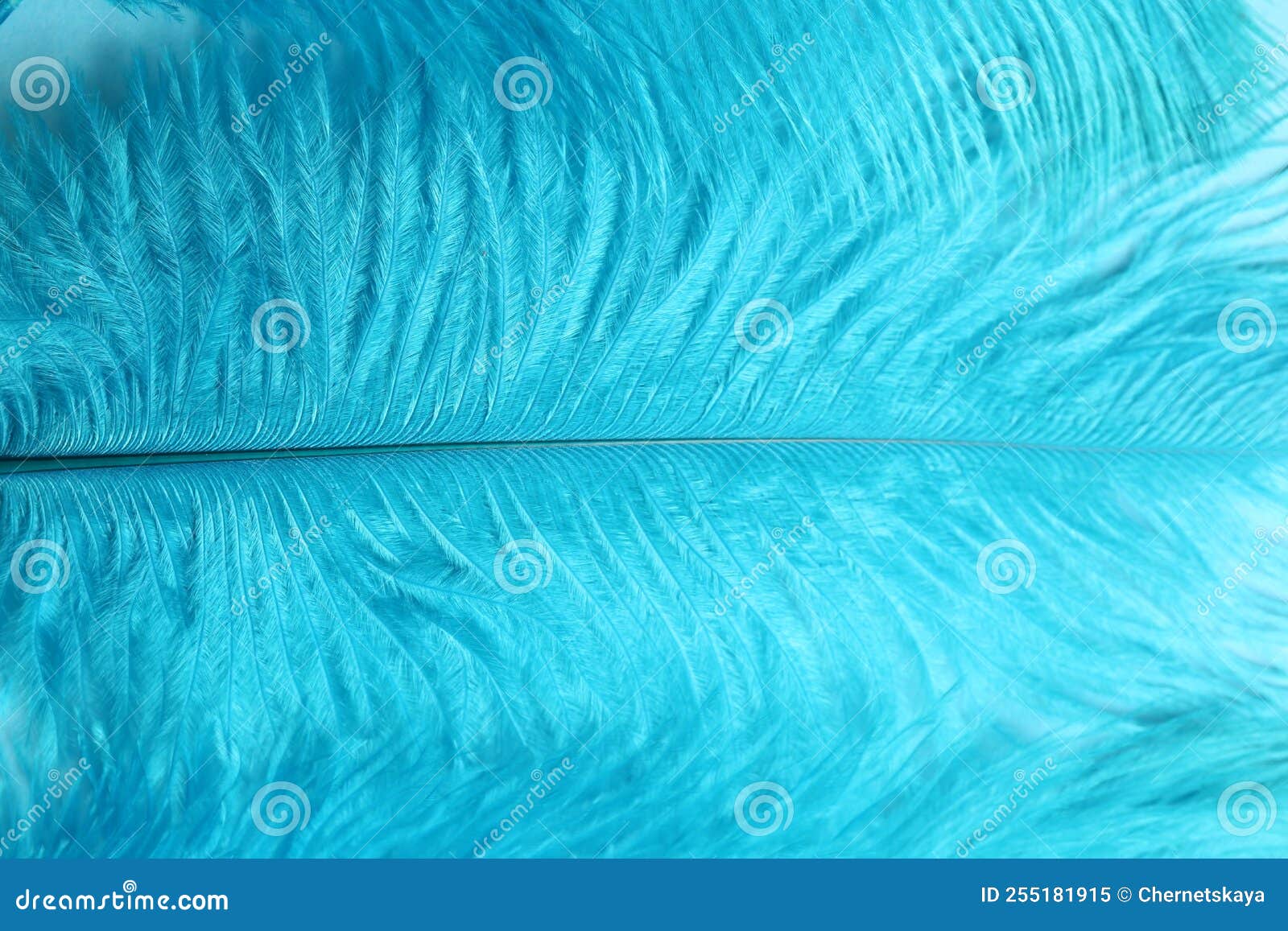 Beautiful Light Blue Feathers As Background, Closeup Stock Image ...