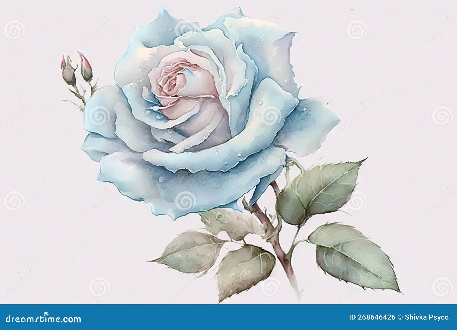 Beautiful Light Blue Rose Watercolor Stock Illustration - Illustration ...