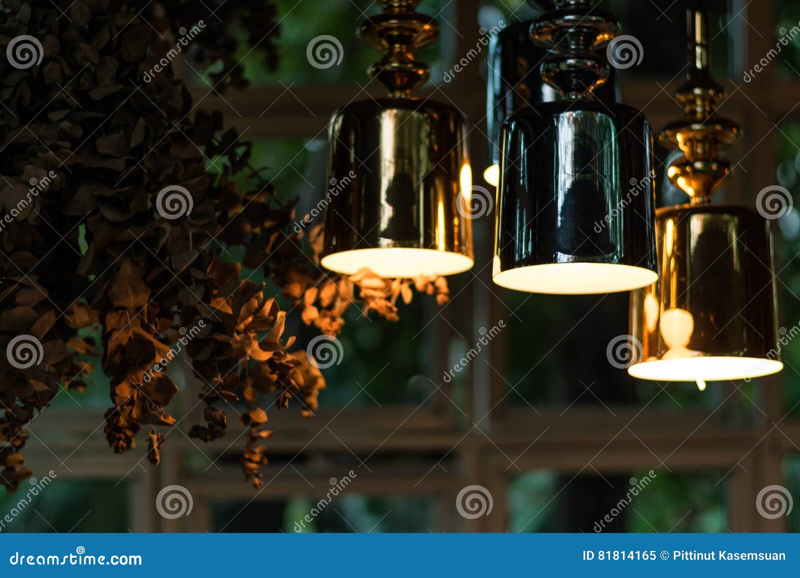 Beautiful Light Bulb Incandescent Hanging Decorated Interior Room Stock ...