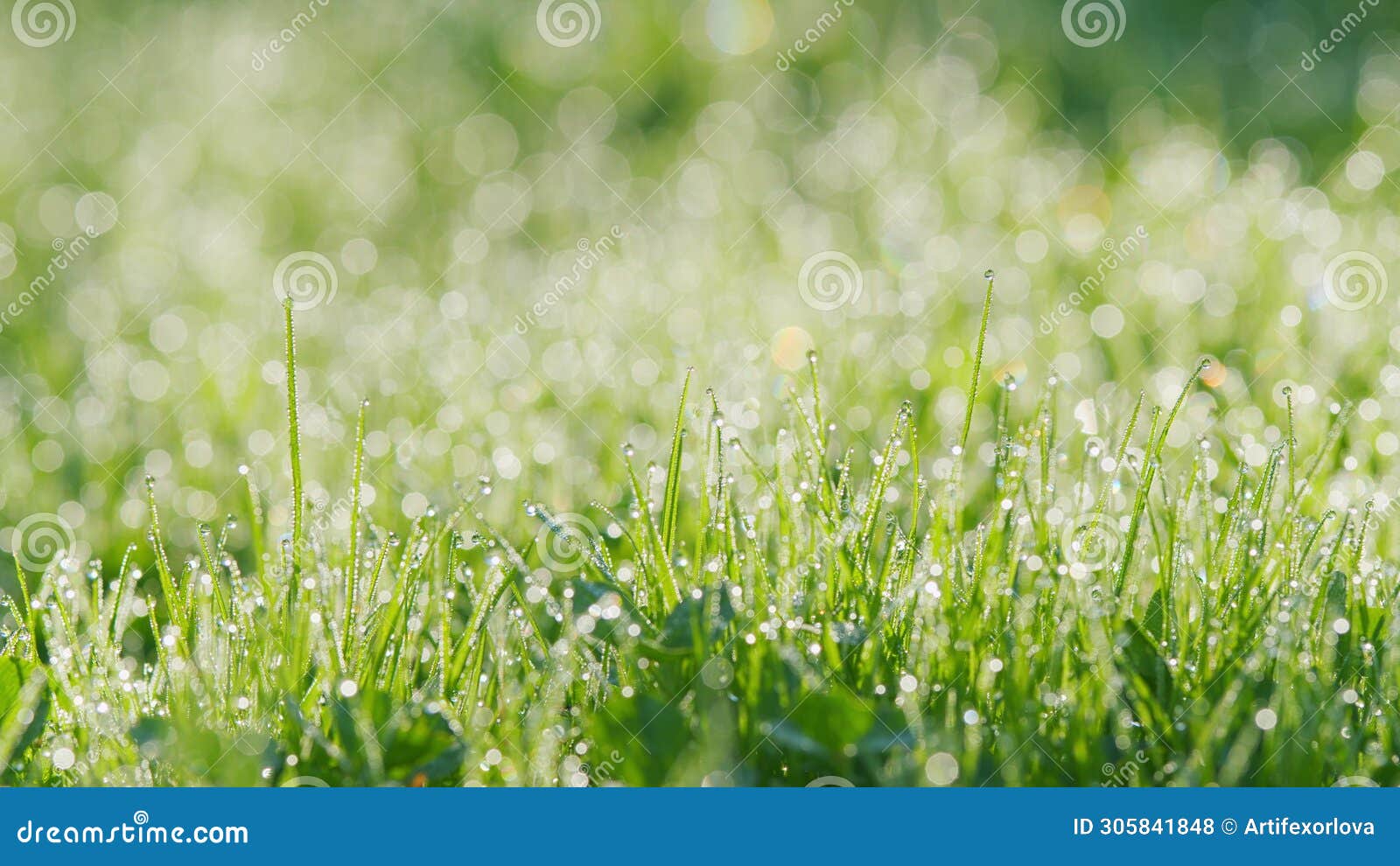 Beautiful Light Effect Background. Amazing Artistic Background Concept ...