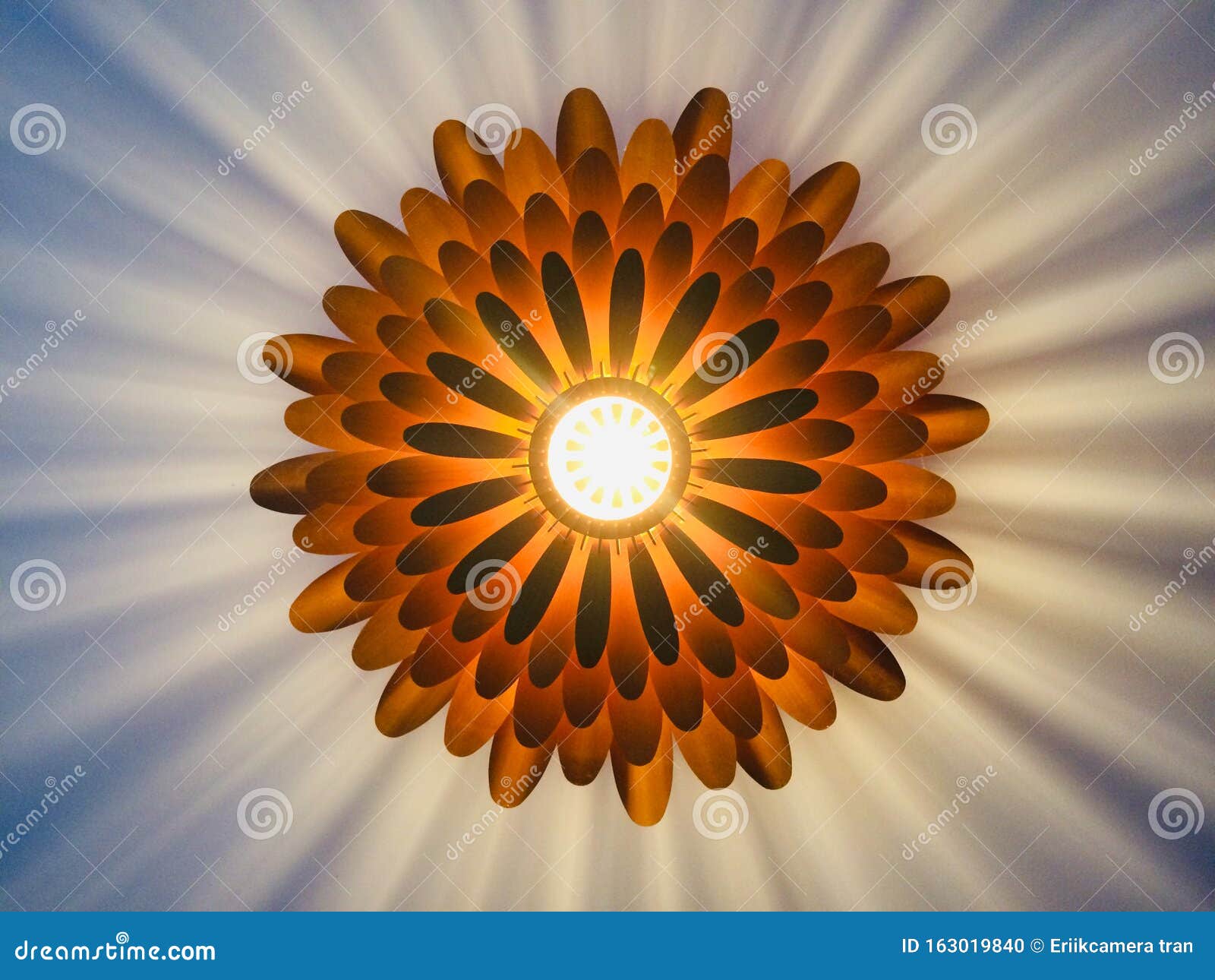 Blooming Wooden Light on the Ceiling Stock Photo - Image of beautiful ...