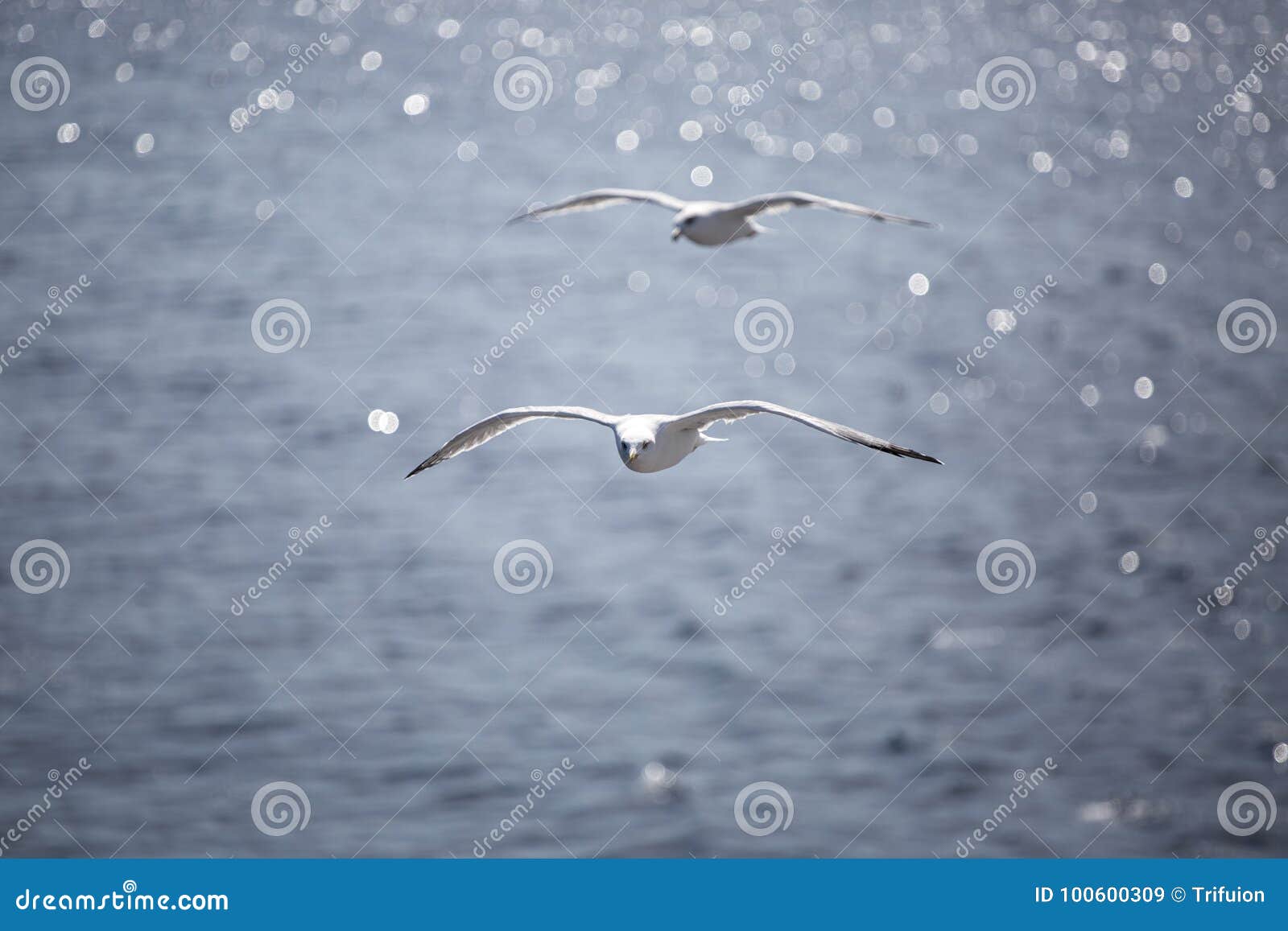 Beautiful Light Sea Summer Background Stock Image - Image of beauty ...