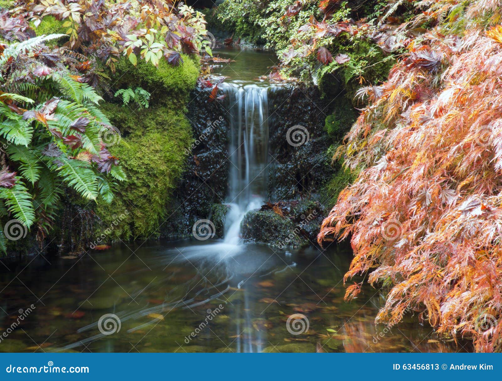 Fall Colors in Small Streem Stock Image - Image of national, rocks ...