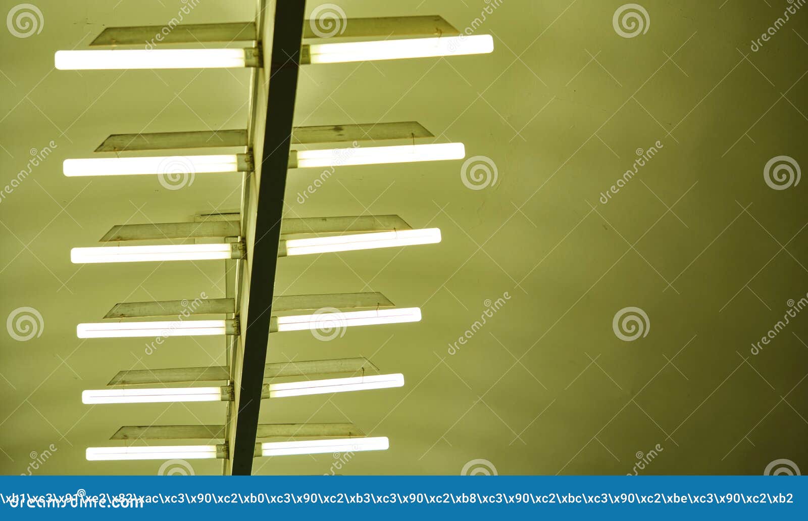 Beautiful Lighting on the Ceiling in the Subway General Plan Color ...