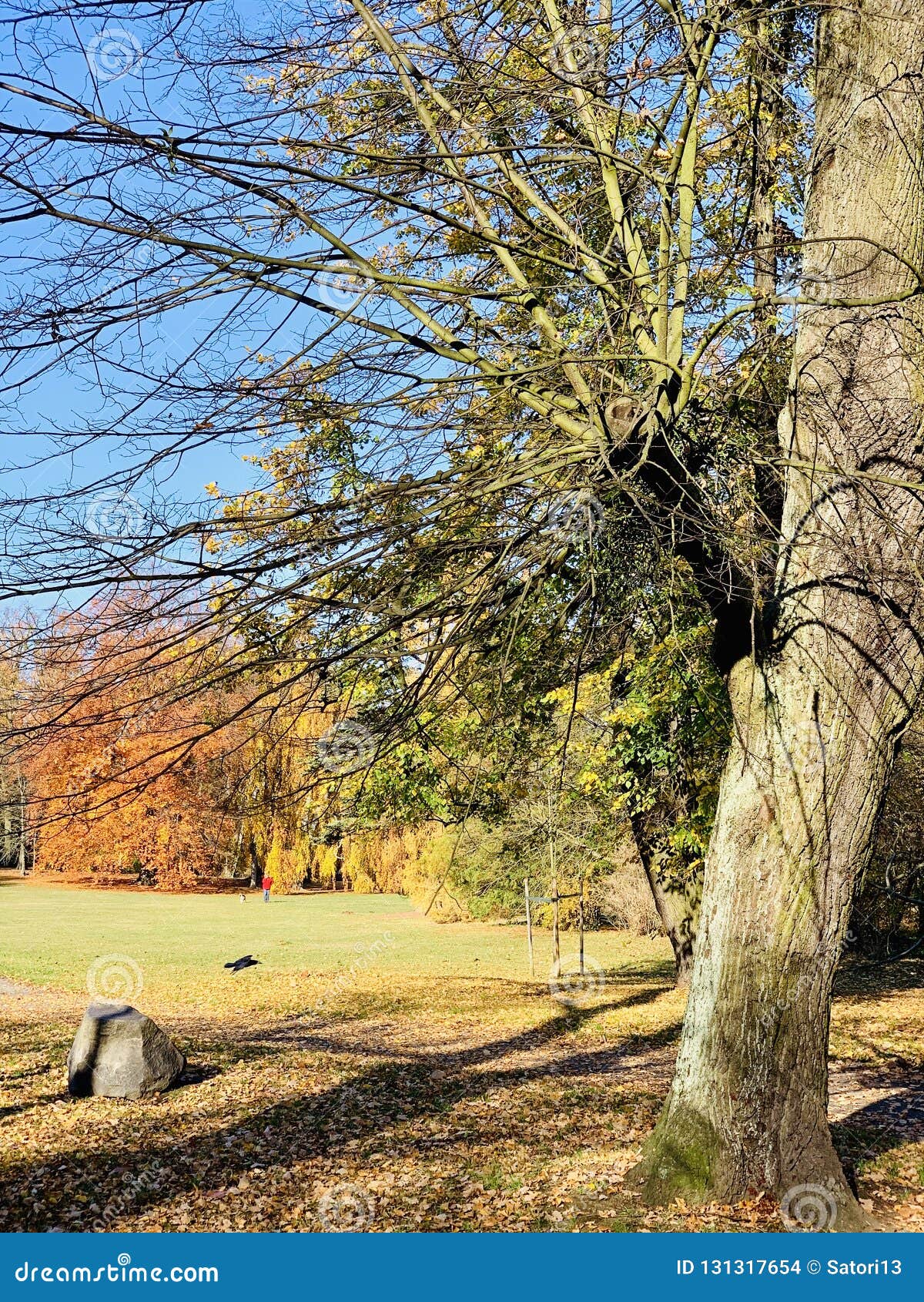 Beautiful Lightning in Trees in Fall Time Stock Photo - Image of plant ...