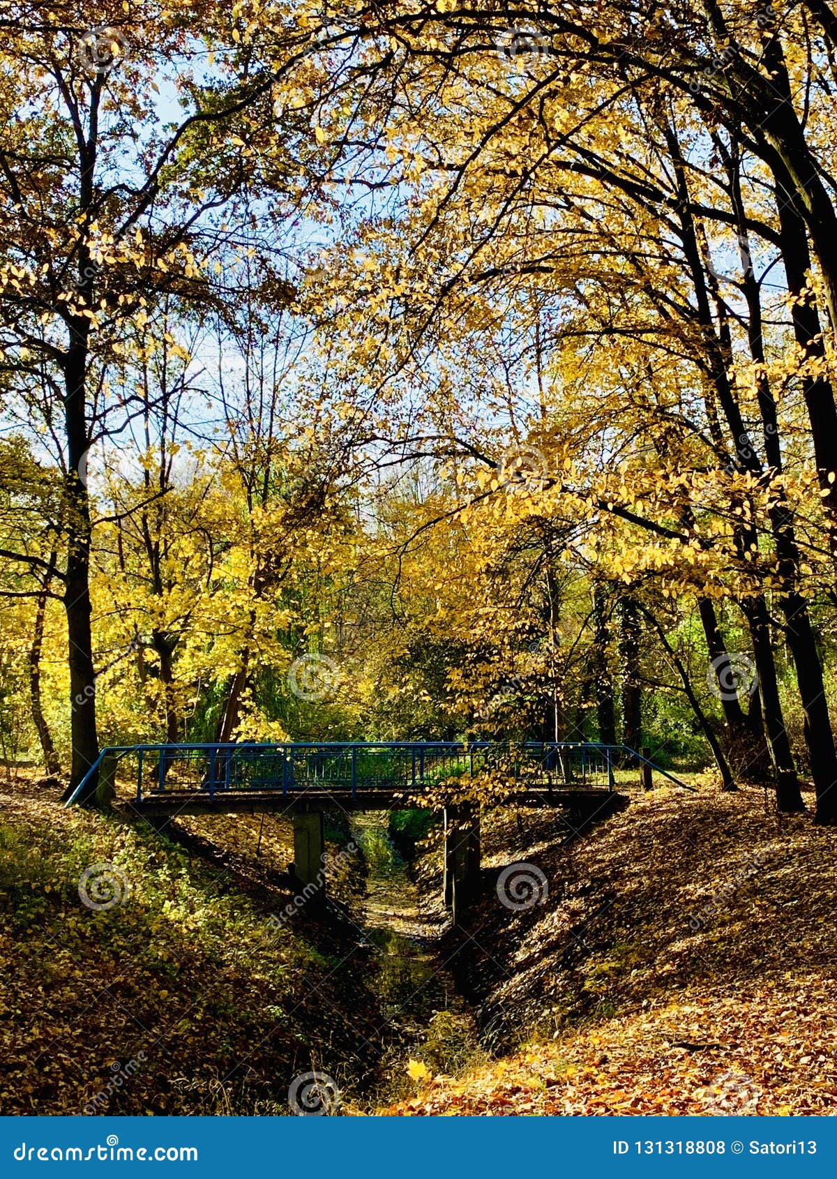 Beautiful Lightning in Trees in Fall Time Stock Photo - Image of green ...