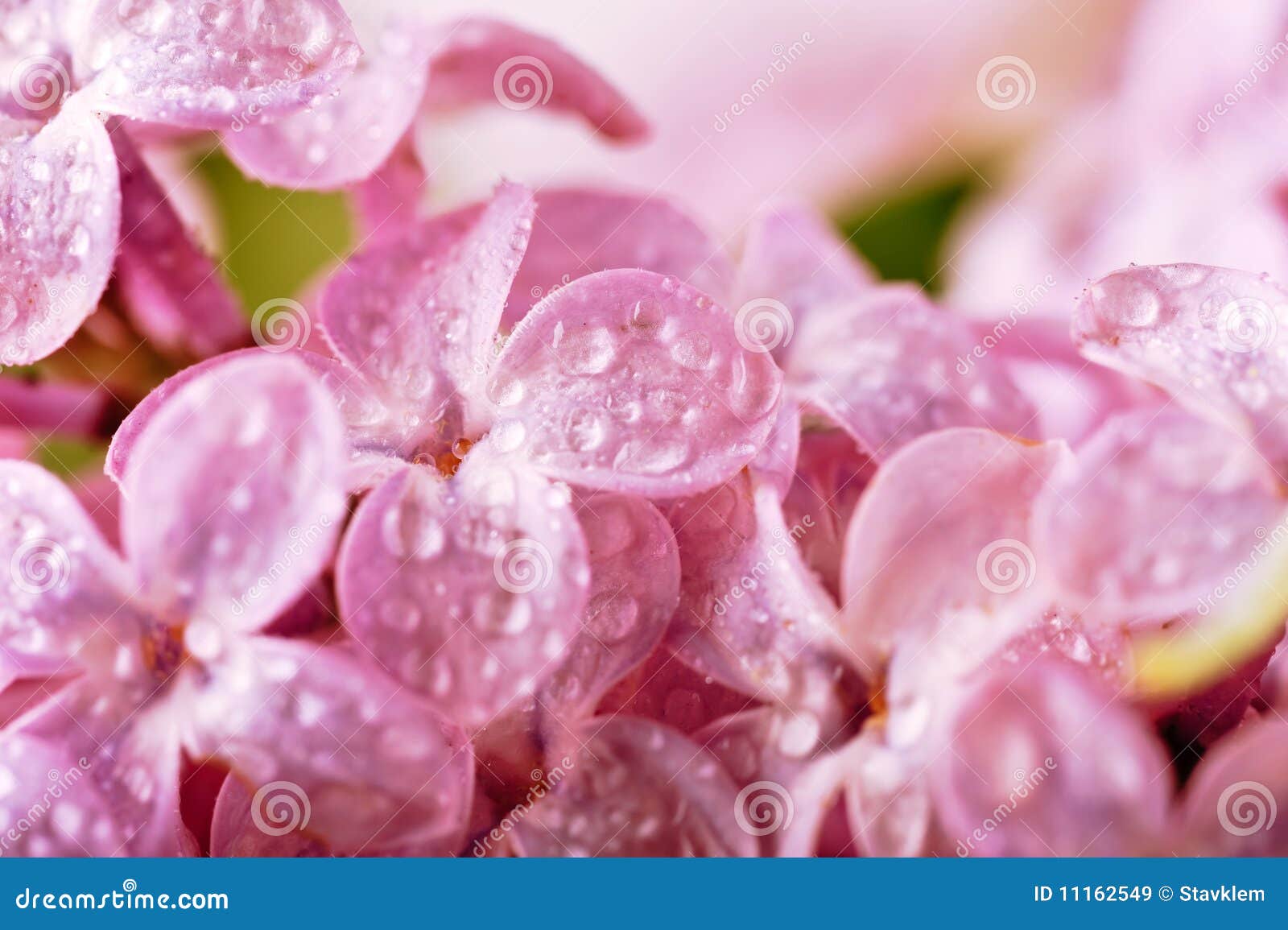Beautiful lilac background stock image. Image of pattern - 11162549