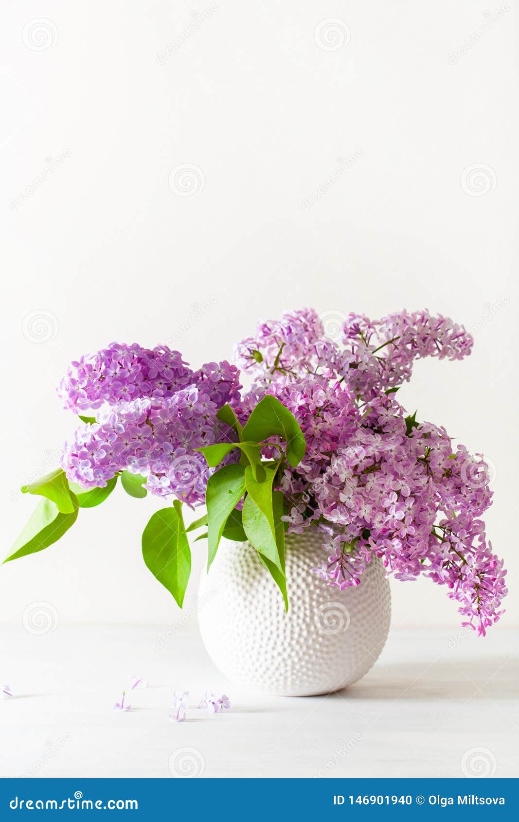 Beautiful Lilac Flowers in Vase on White Background Stock Photo - Image ...
