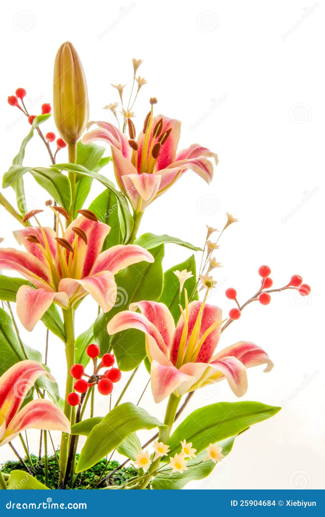 Beautiful lily blossom stock photo. Image of bloom, celebration - 25904684