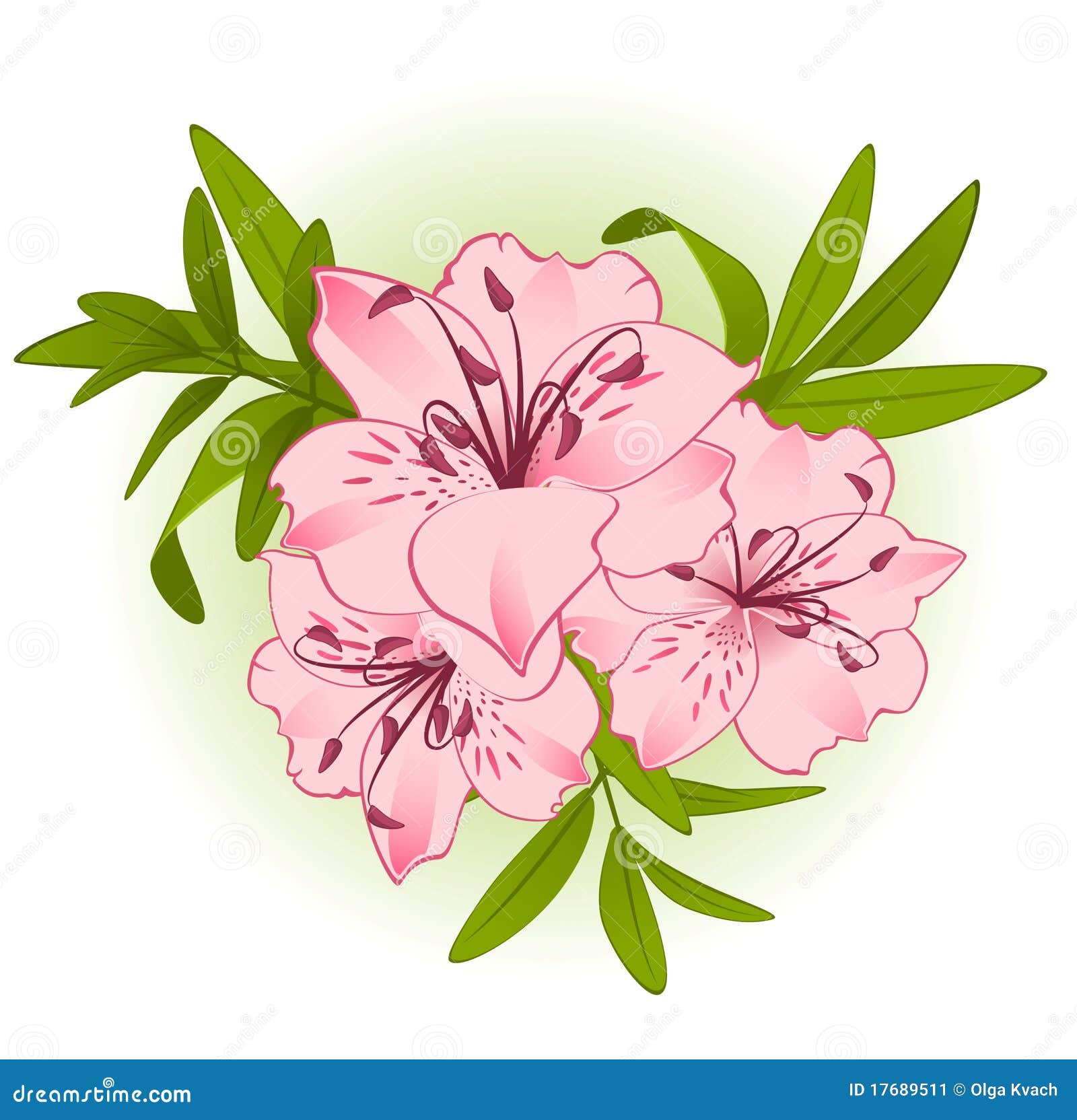 Beautiful Lily Design Element Stock Vector - Illustration of decoration ...