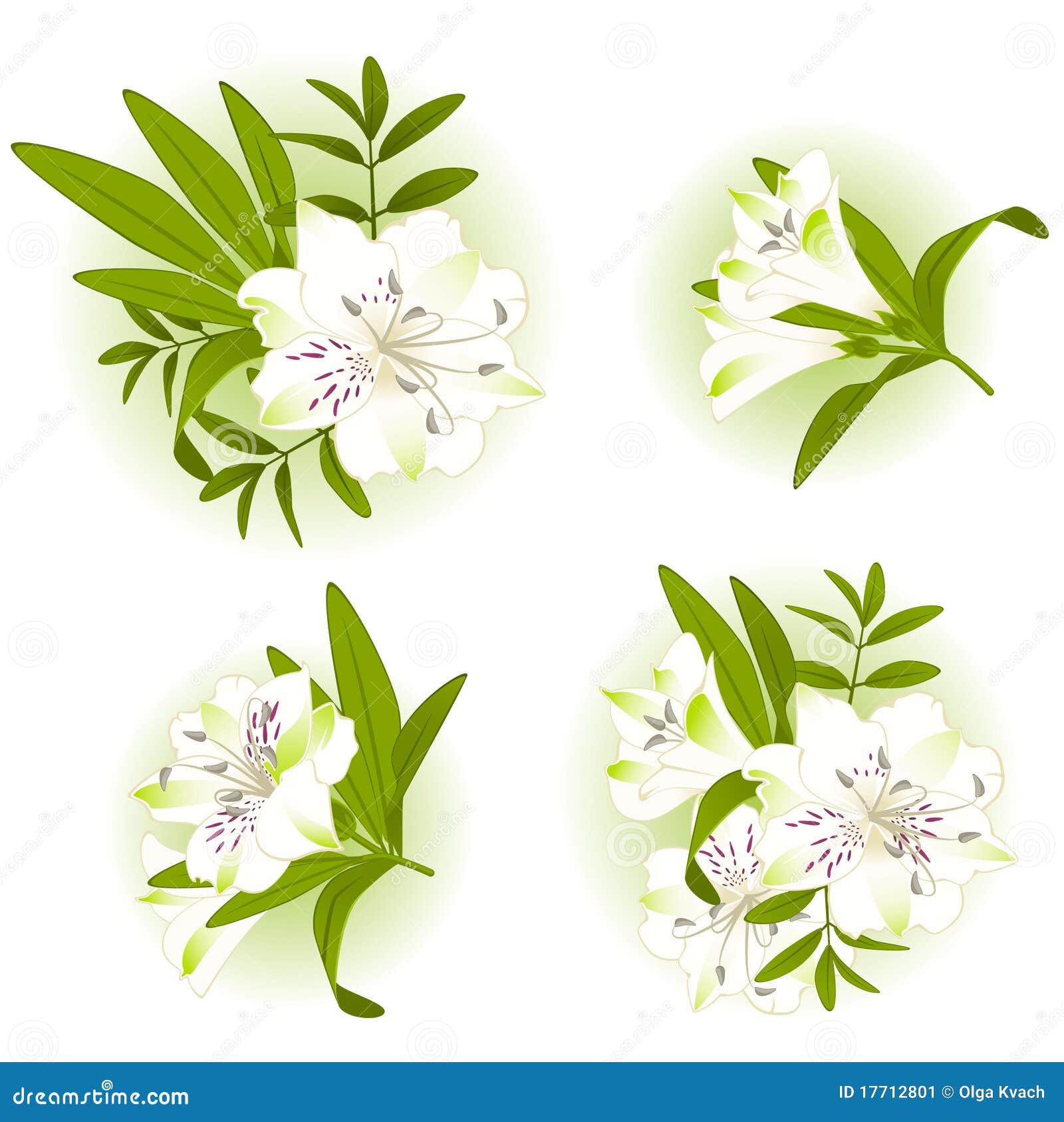 Beautiful Lily Design Element Stock Vector - Illustration of color ...