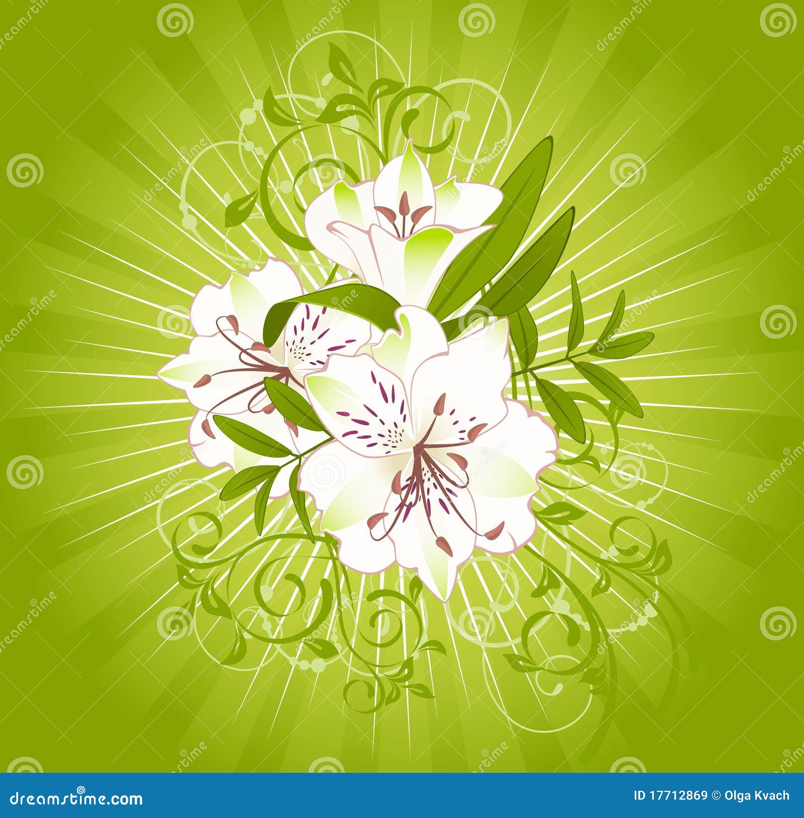 Beautiful Lily Design Element Stock Vector - Illustration of floral ...
