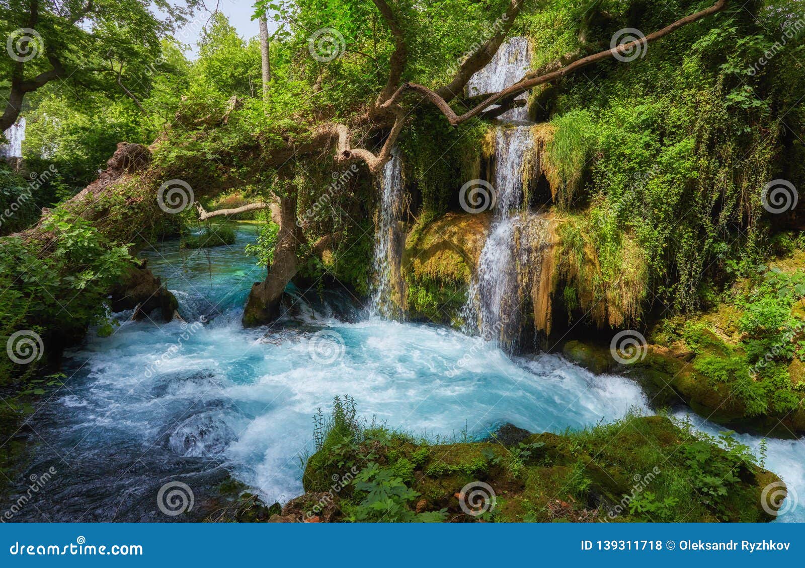 Beautiful Limestone Waterfall Forest Stock Photo - Image of fluid, park ...