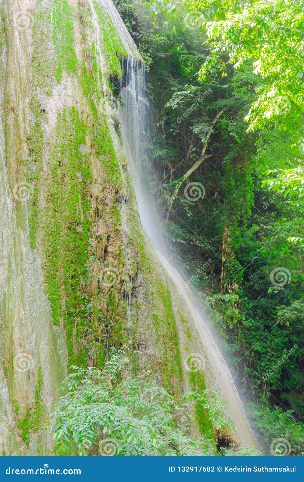 Limestone Waterfall in Green Forest Stock Photo - Image of green ...